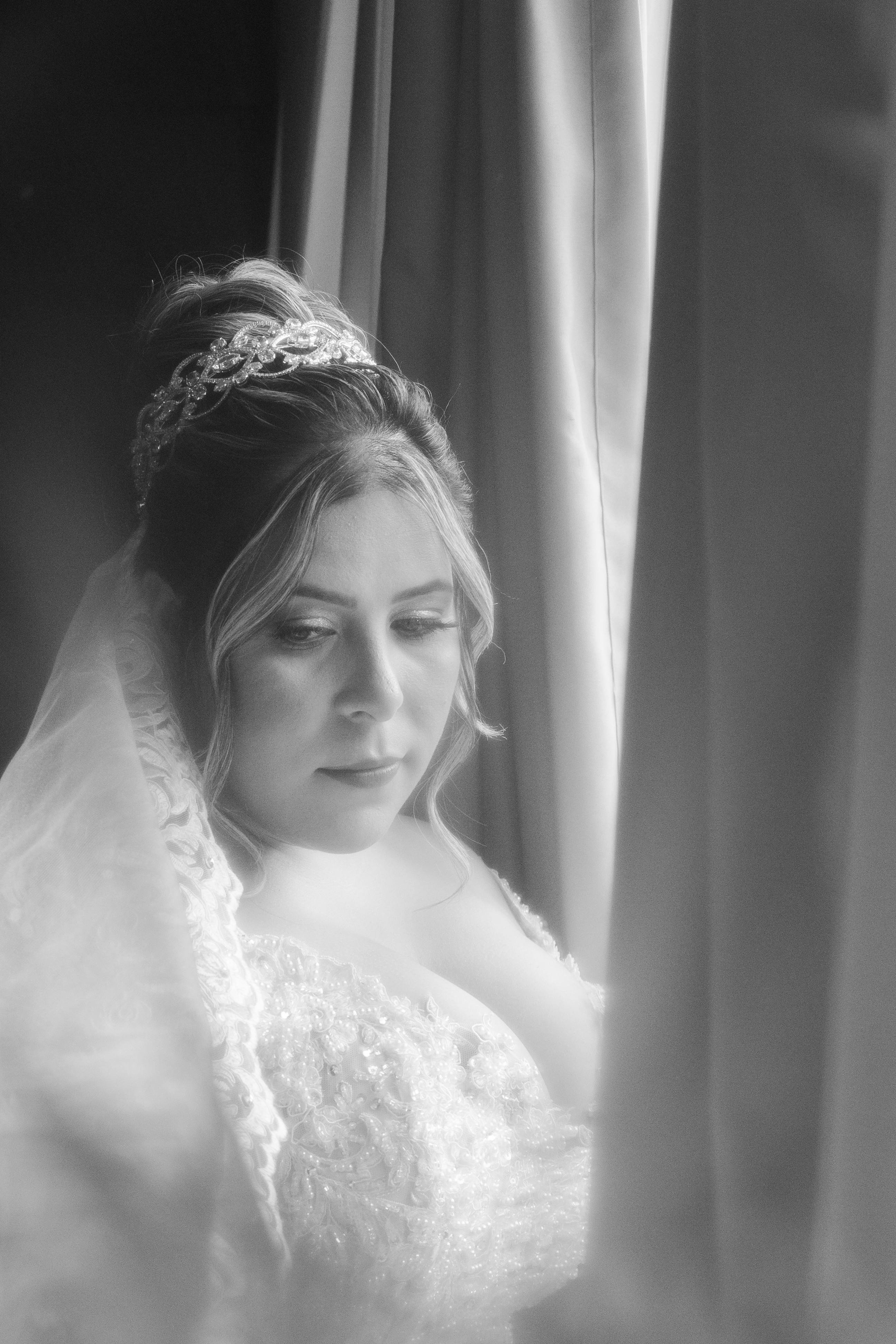 Portrait of Bride in Black and White · Free Stock Photo