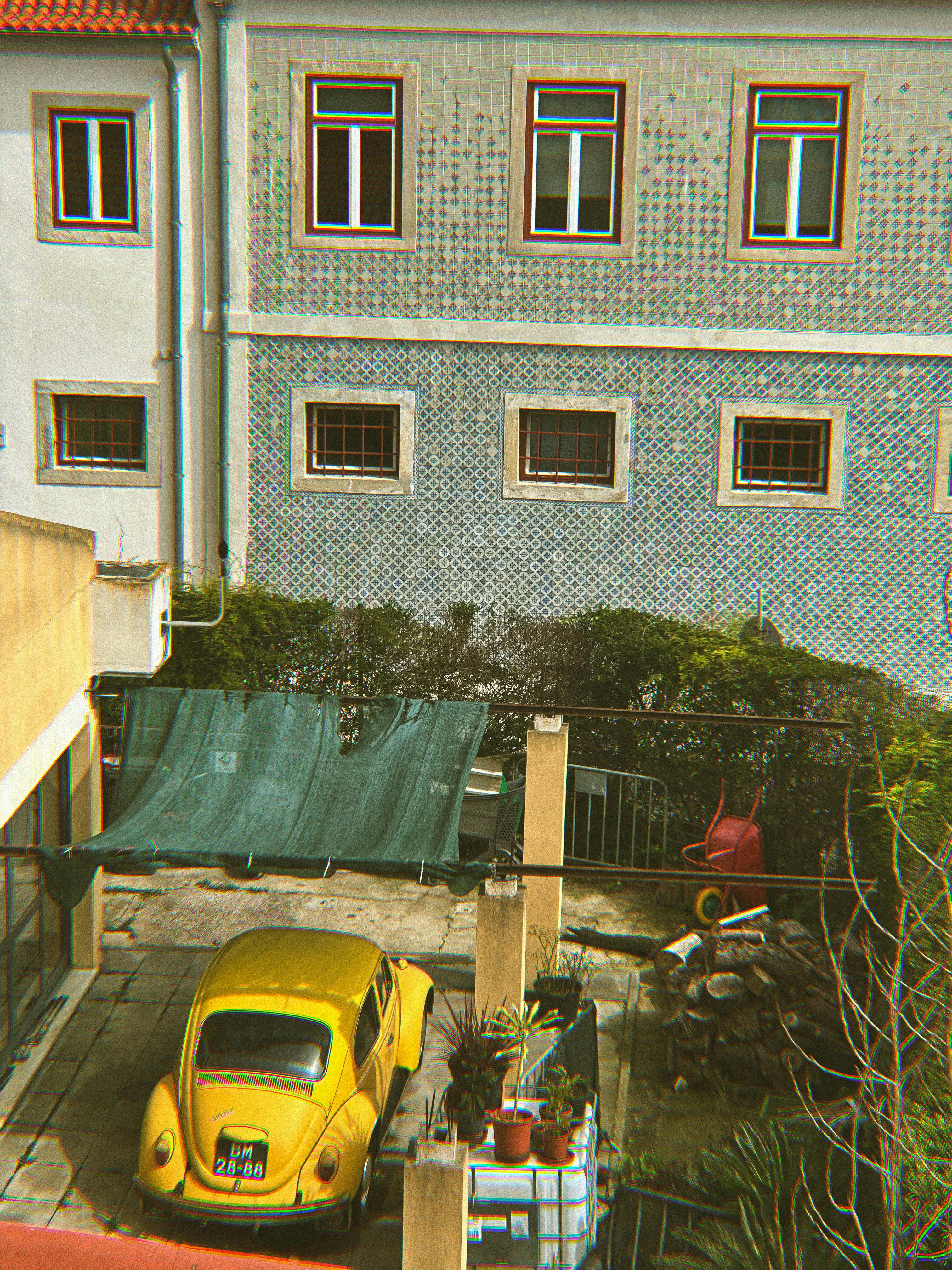 Beetle Geek Photos, Download The BEST Free Beetle Geek Stock Photos ...