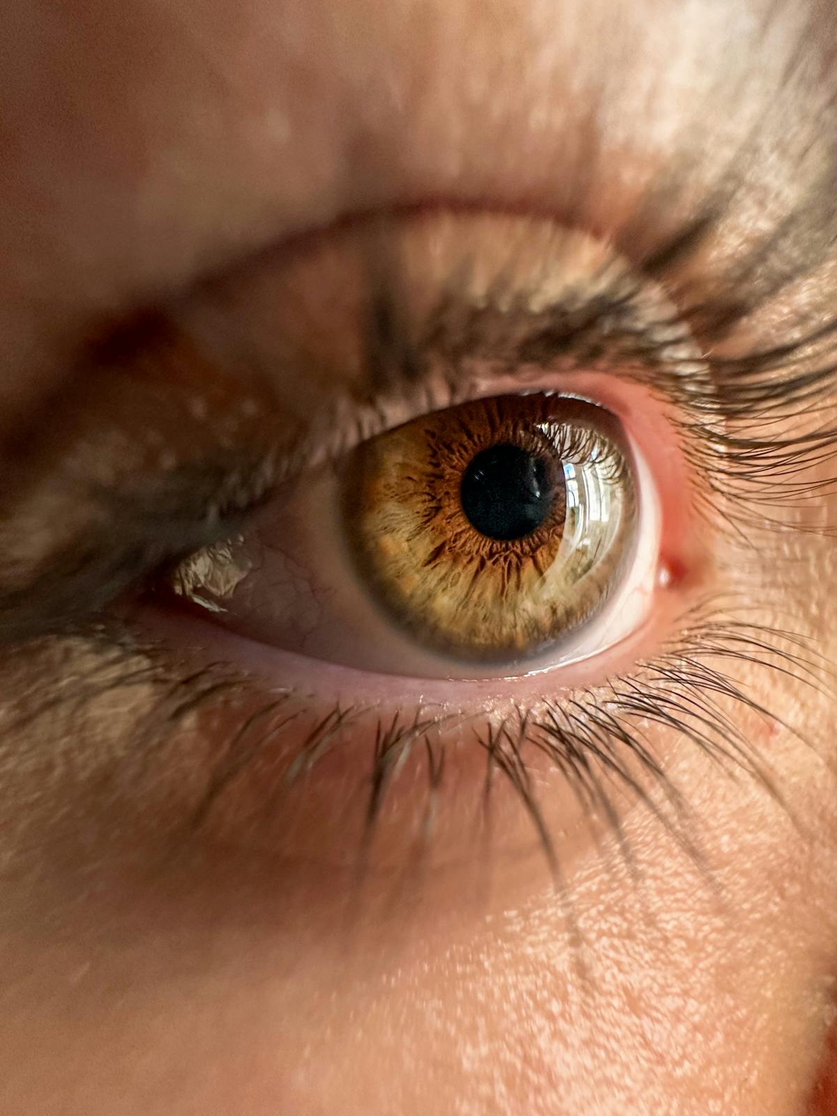 Eye Specs Photos, Download The BEST Free Eye Specs Stock Photos & HD Images