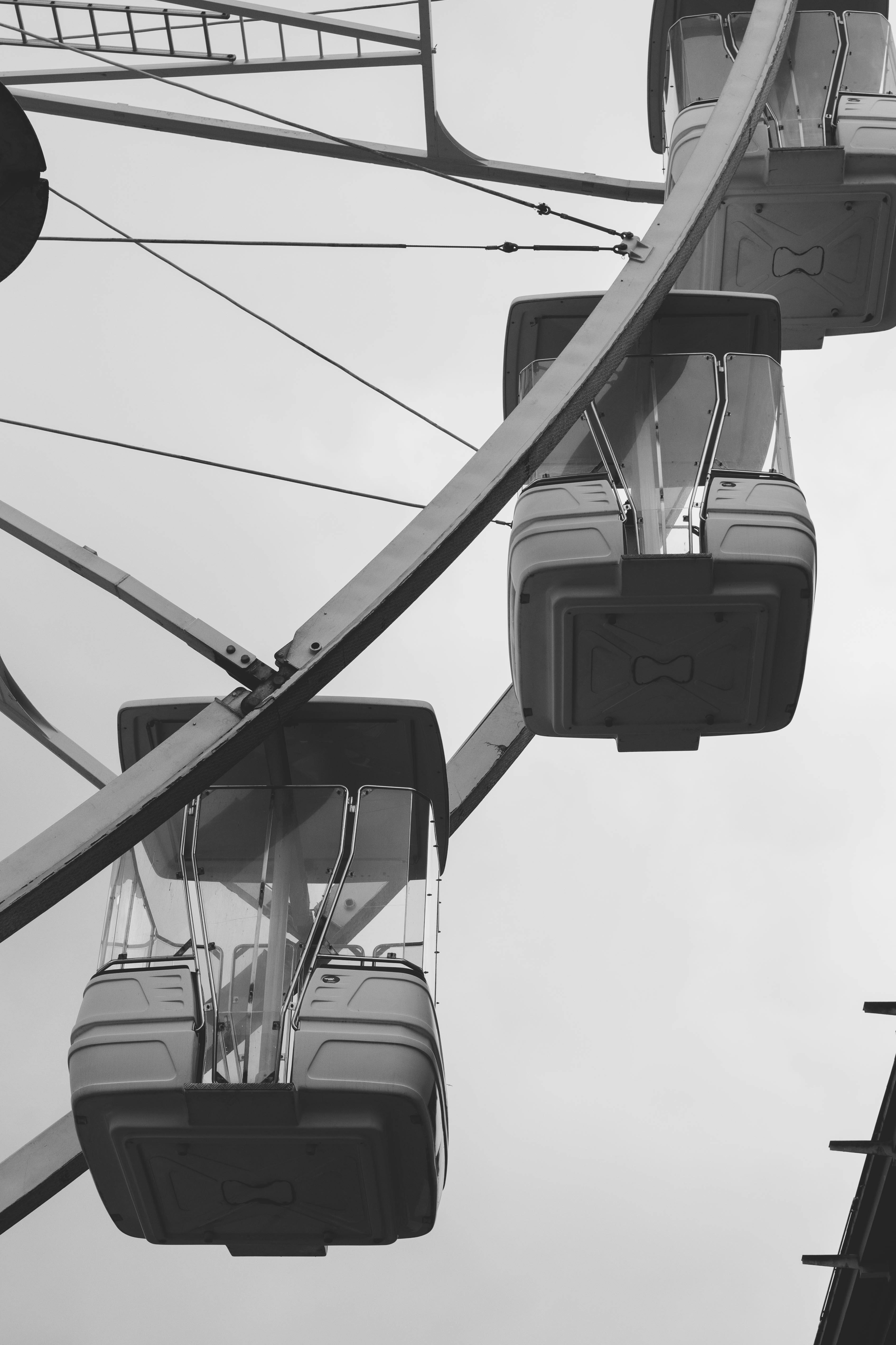 Observering Photos, Download The BEST Free Observering Stock Photos ...