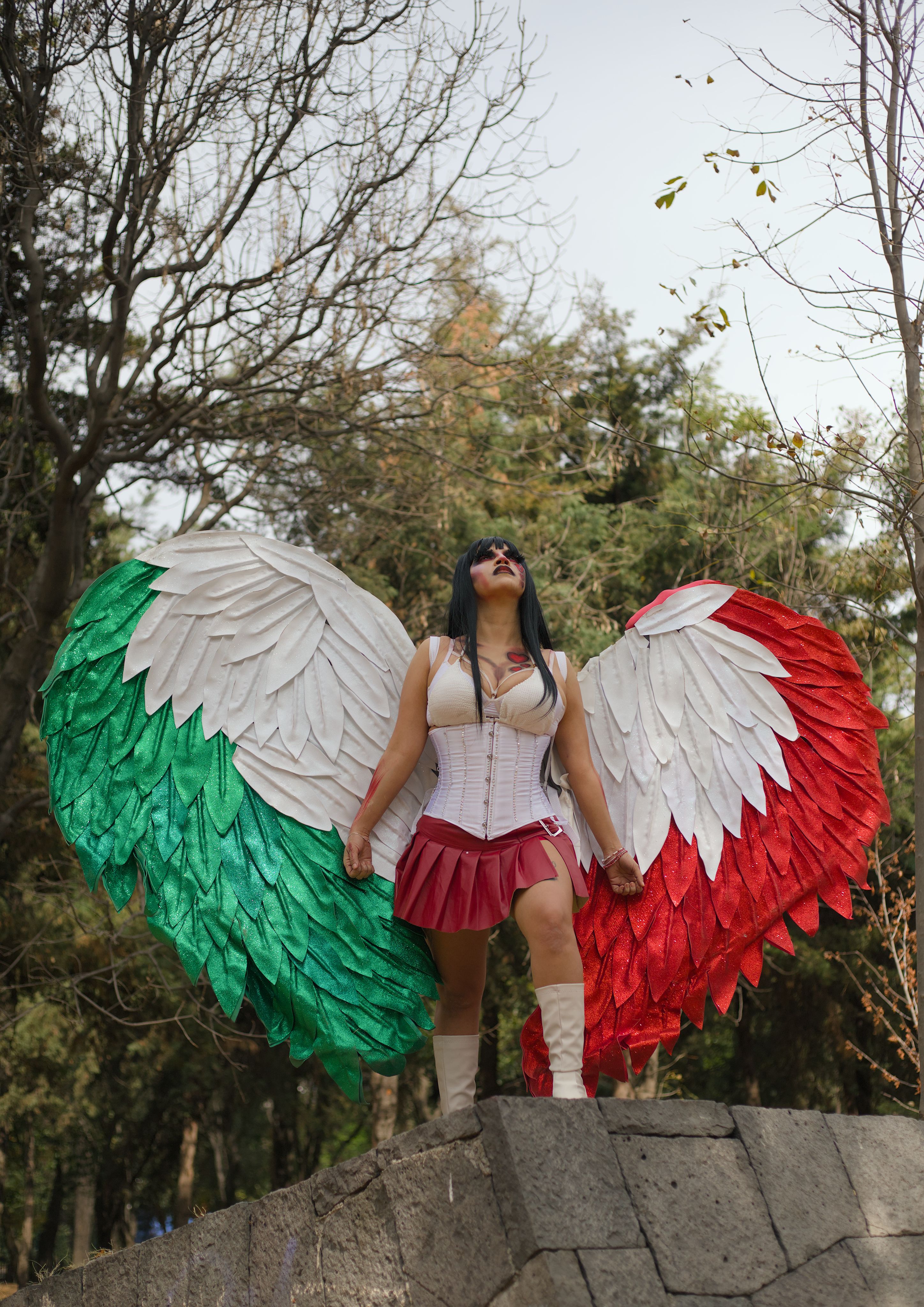 A Woman Wearing a Costume with Tricolor Angel Wings · Free Stock Photo
