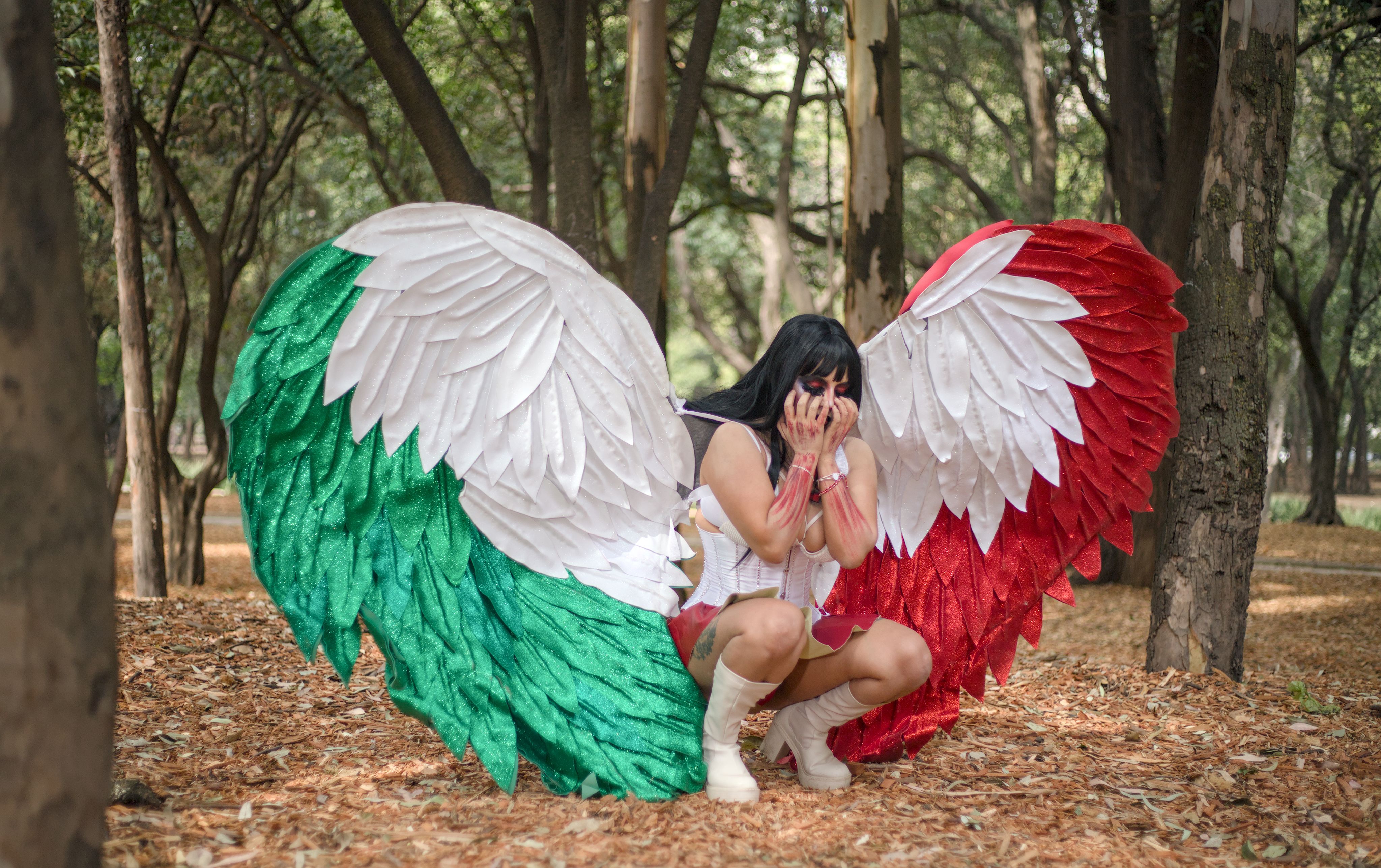 A Woman Wearing a Costume with Tricolor Angel Wings · Free Stock Photo