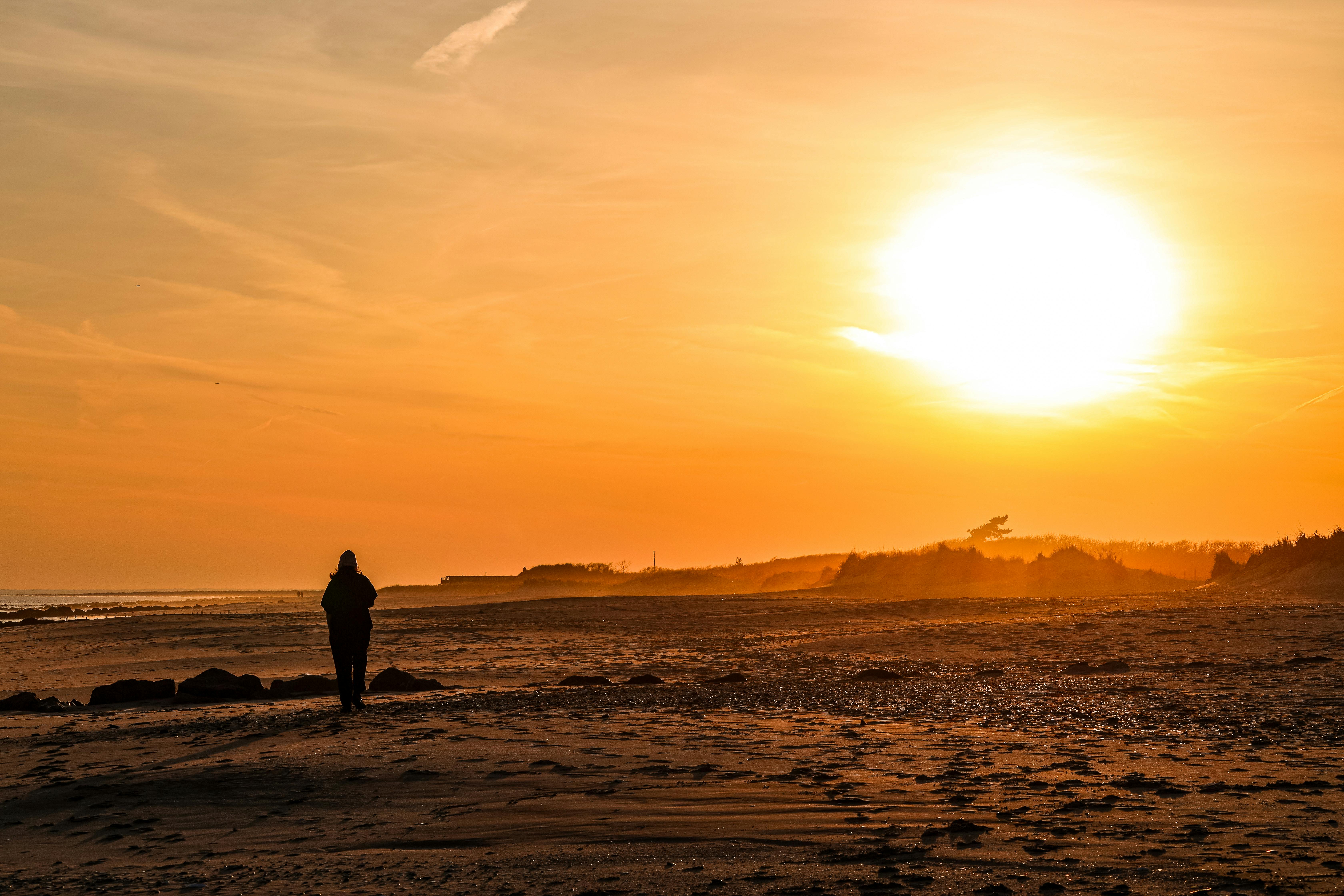 Sun over Person Walking on Beach at Sunset · Free Stock Photo
