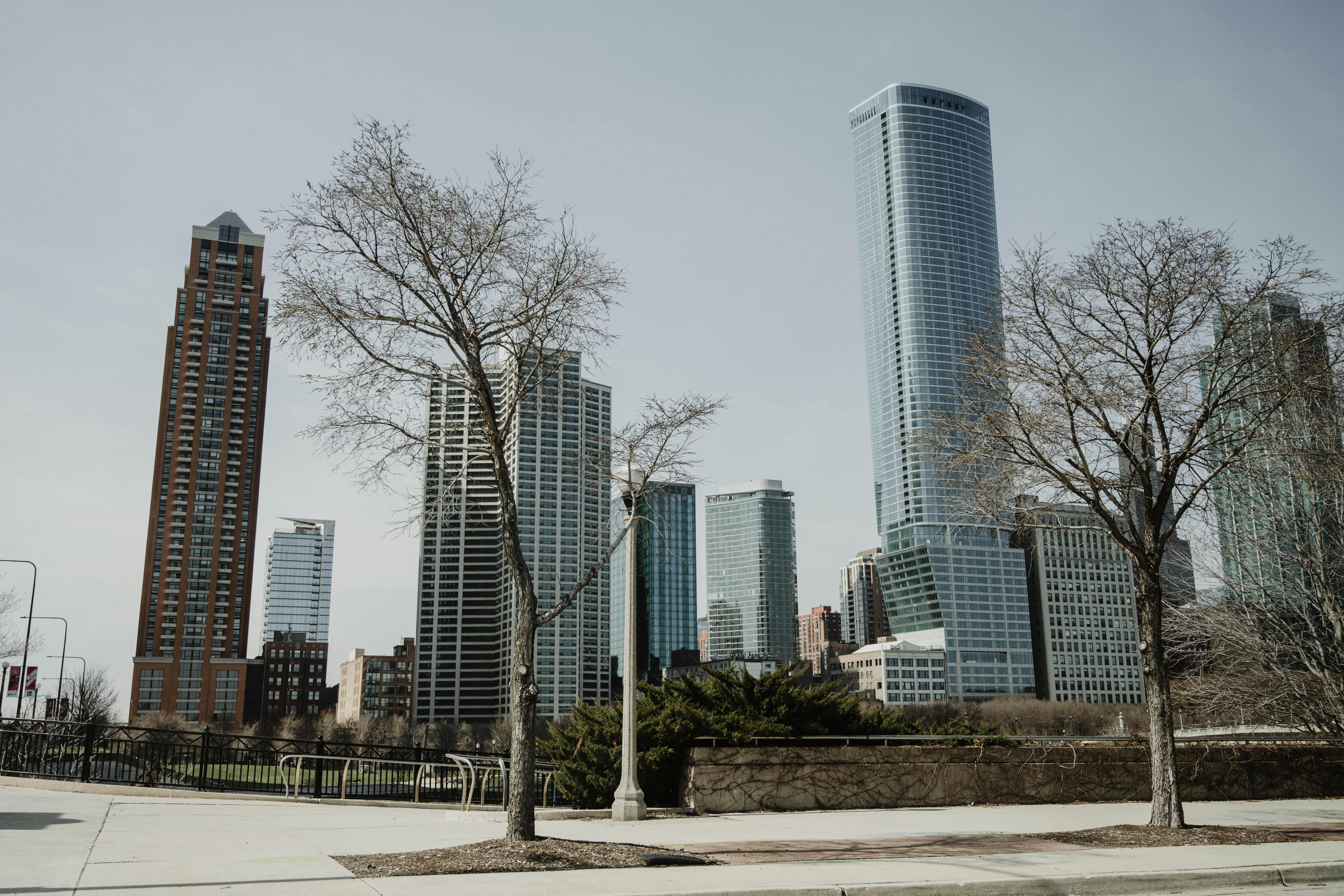 Photo of Street Near Buildings · Free Stock Photo