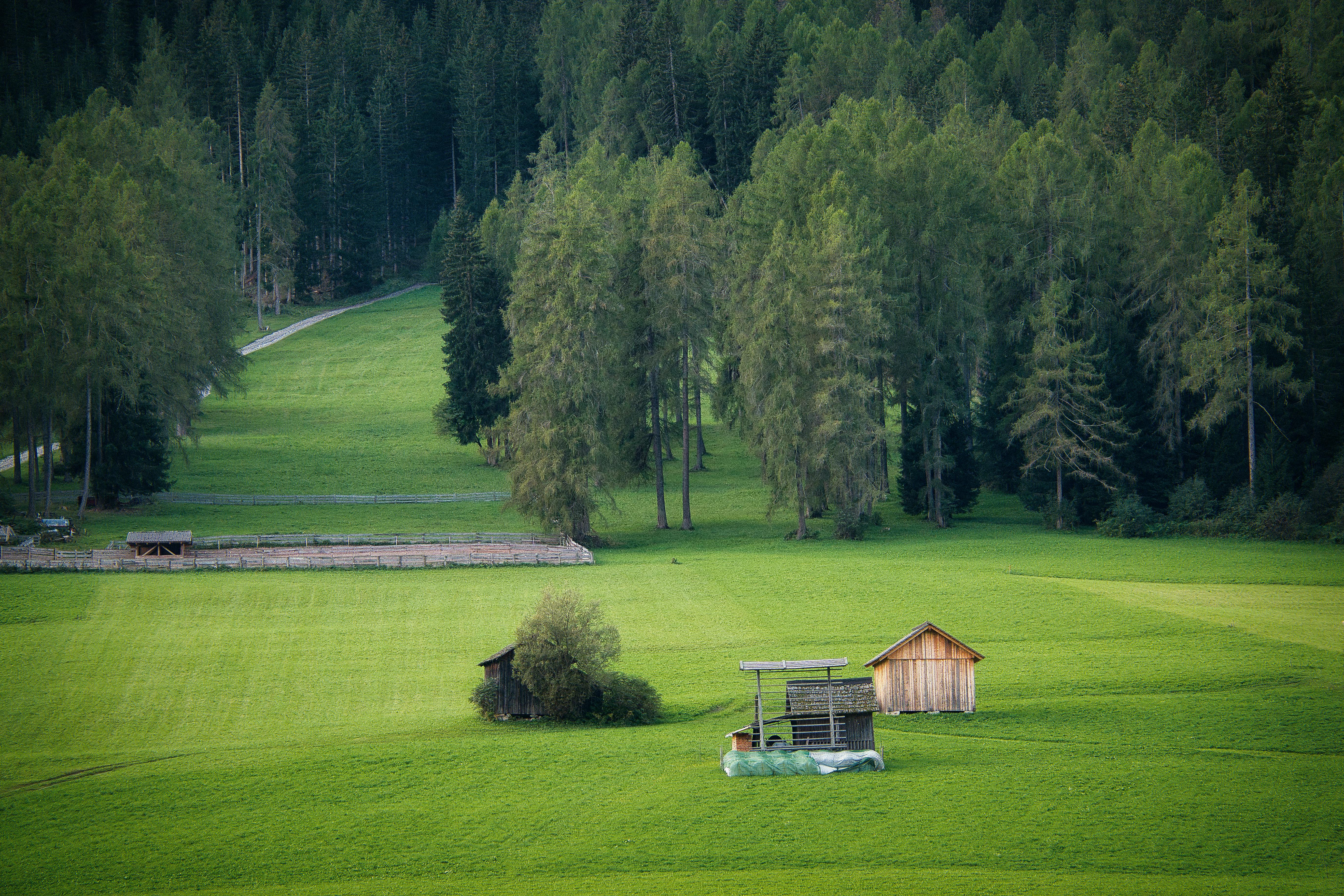 Shed and Wooden Hut on Grassland in Countryside · Free Stock Photo