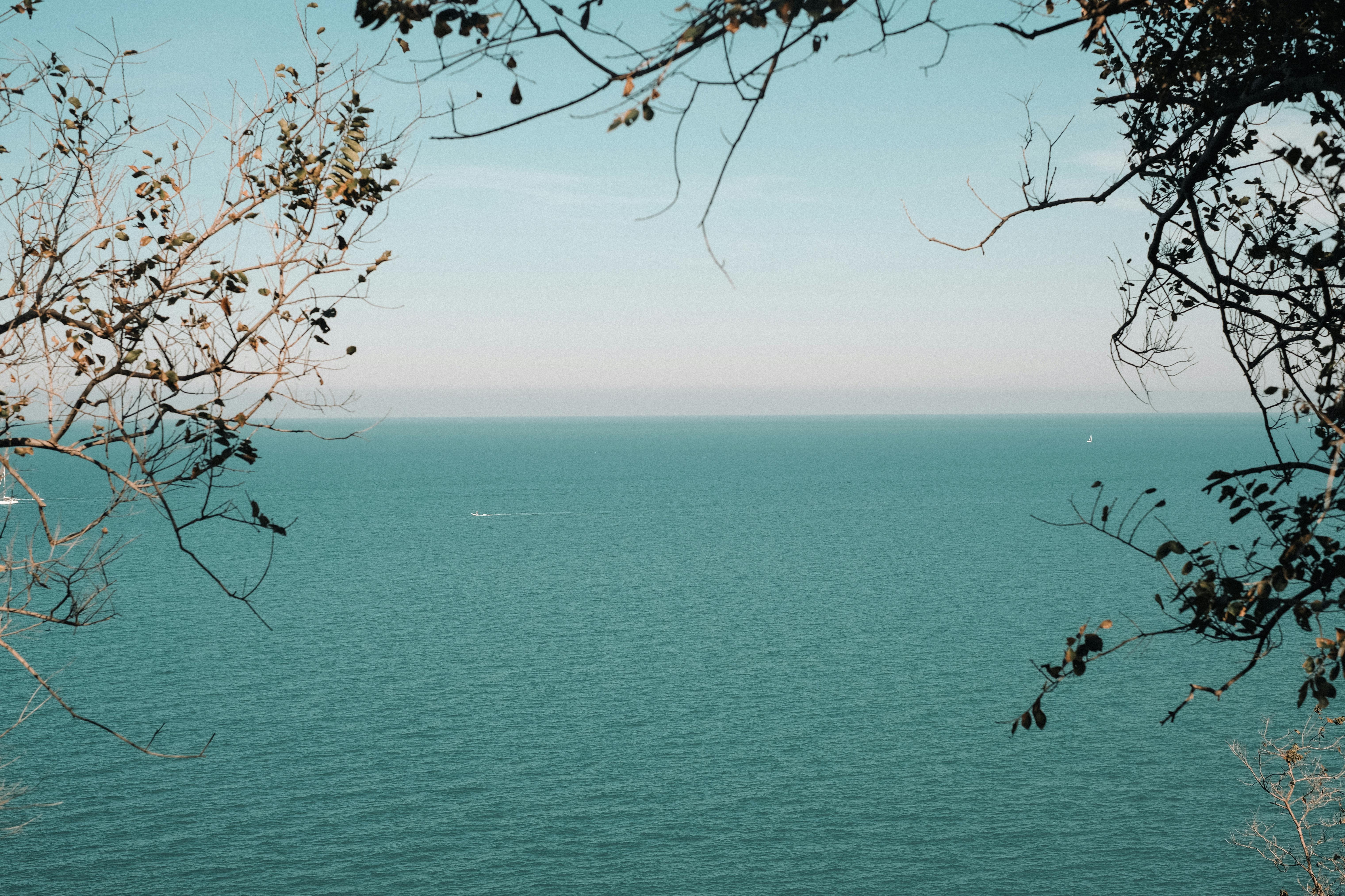 View of a Blue Sea from behind Tree Branches · Free Stock Photo