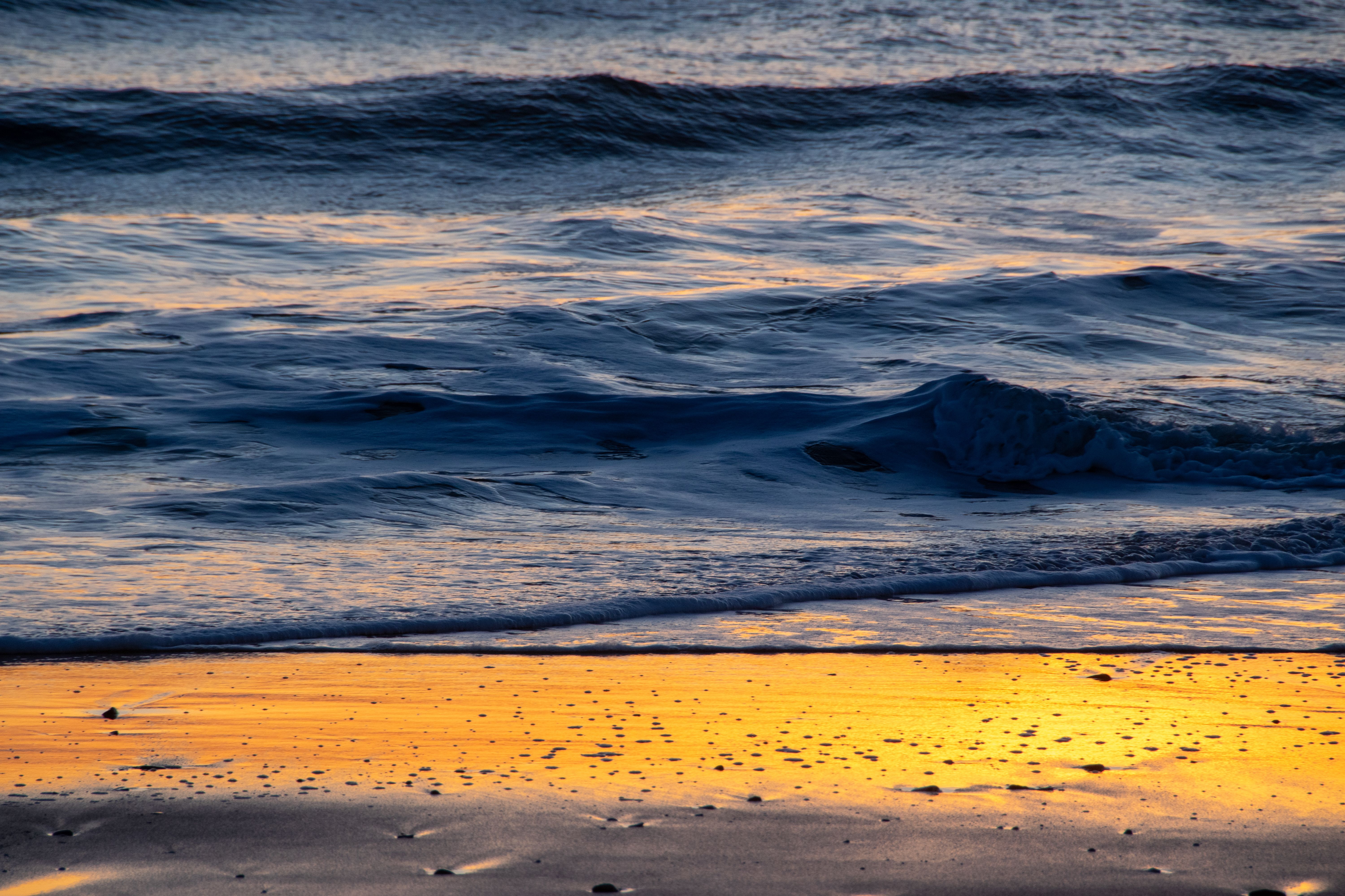Sea Shore at Sunset · Free Stock Photo