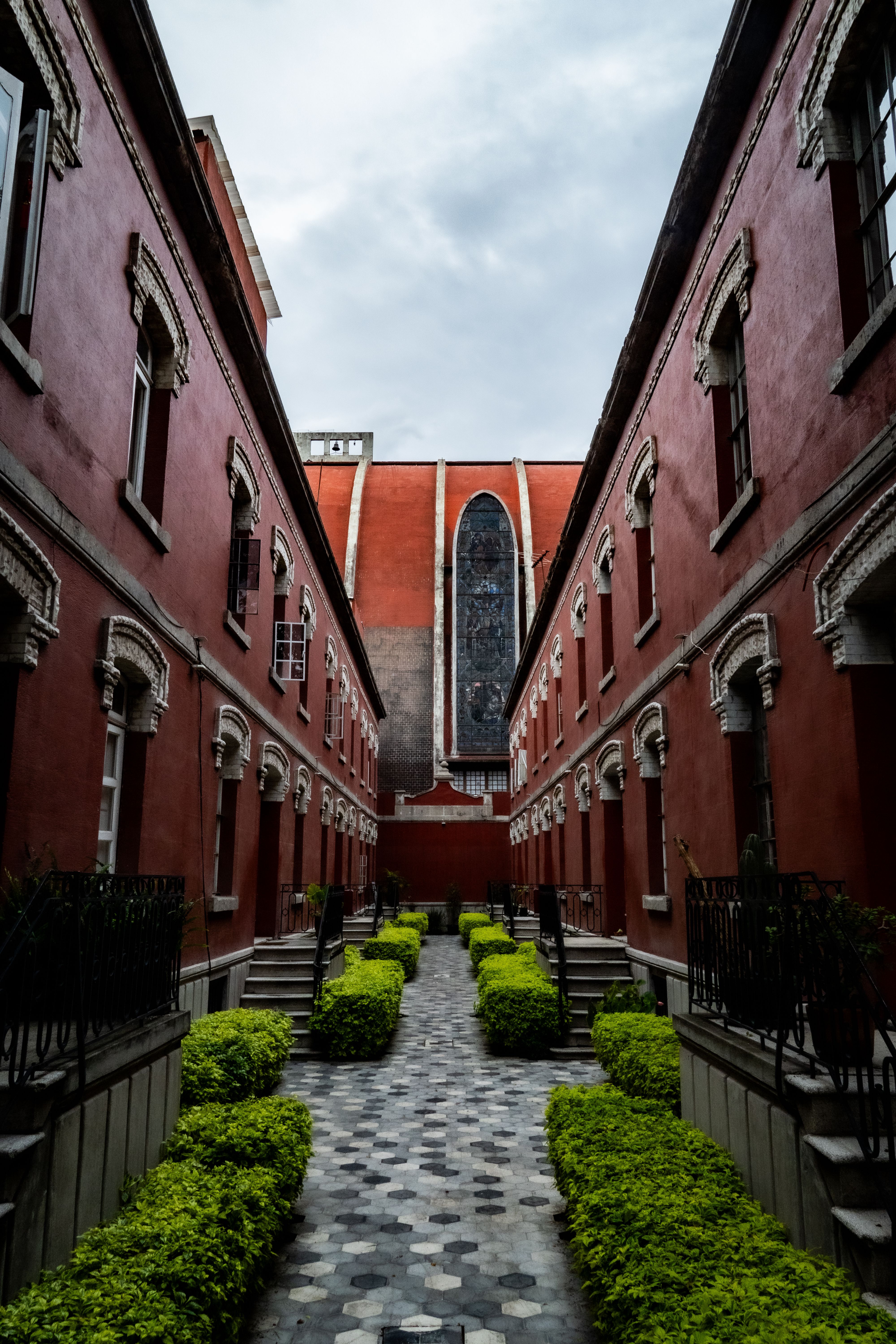 Green Branches in a Narrow Alley · Free Stock Photo