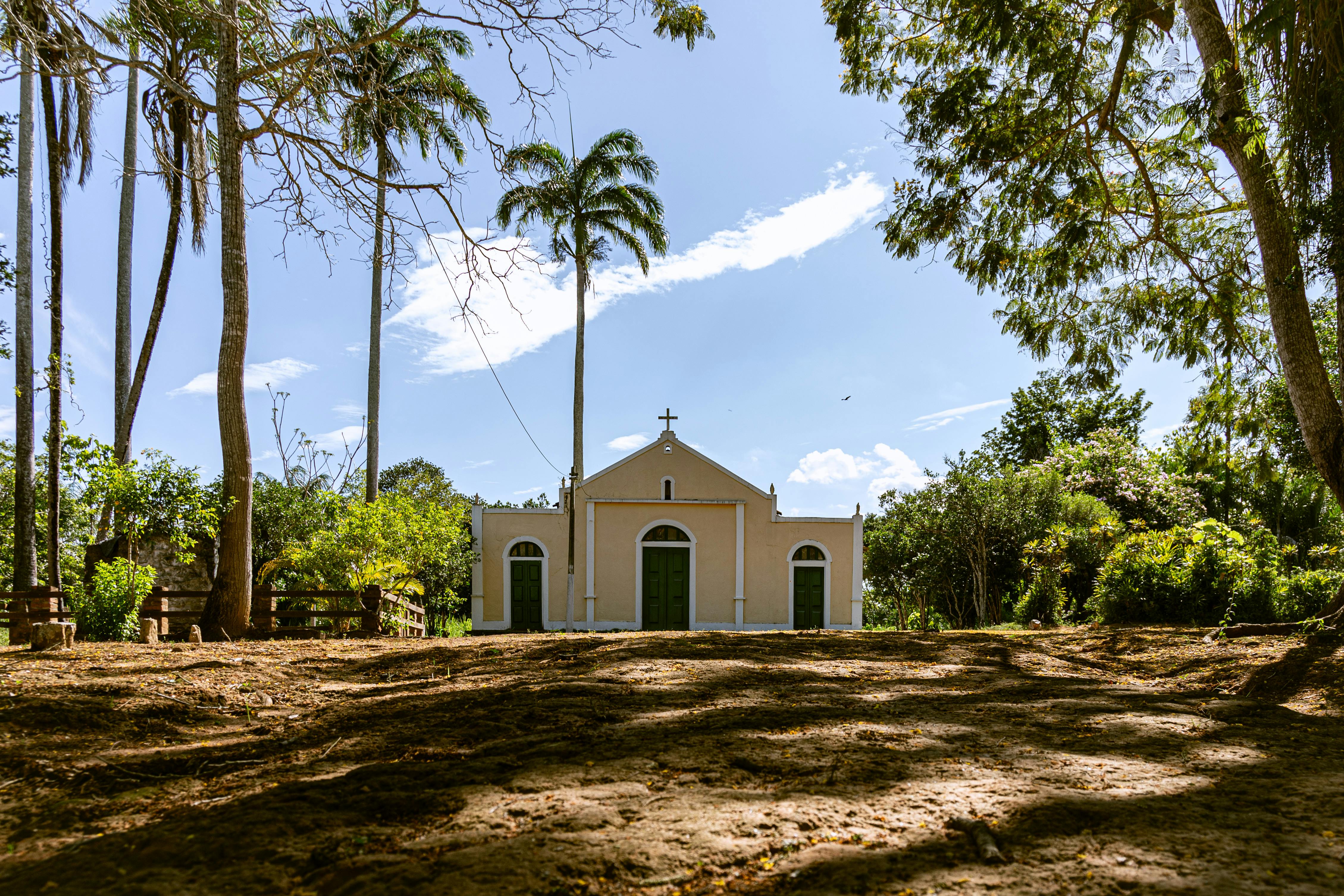 Photo of a Church among Palm Trees · Free Stock Photo
