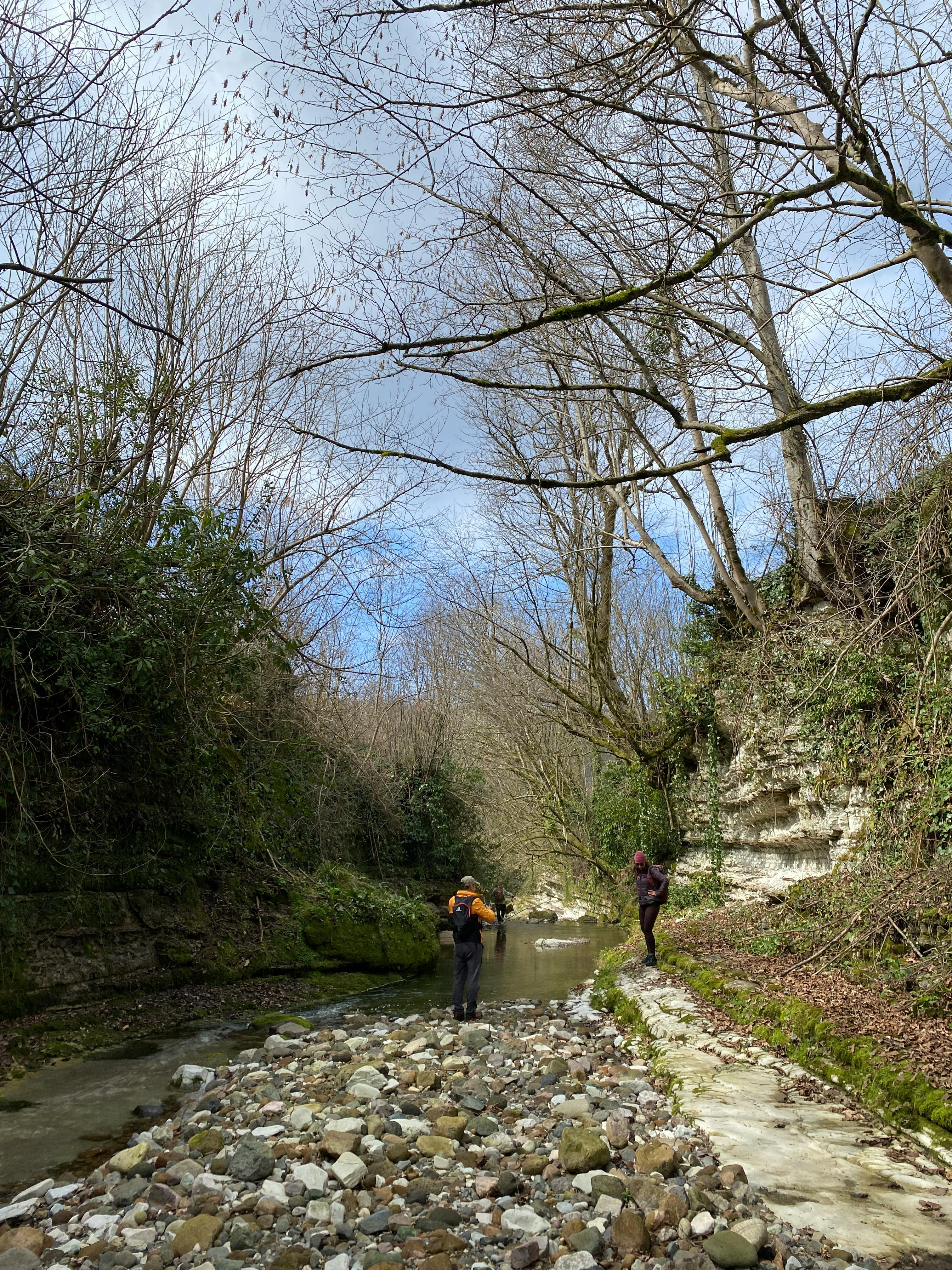 Gorge Media Photos, Download The BEST Free Gorge Media Stock Photos ...