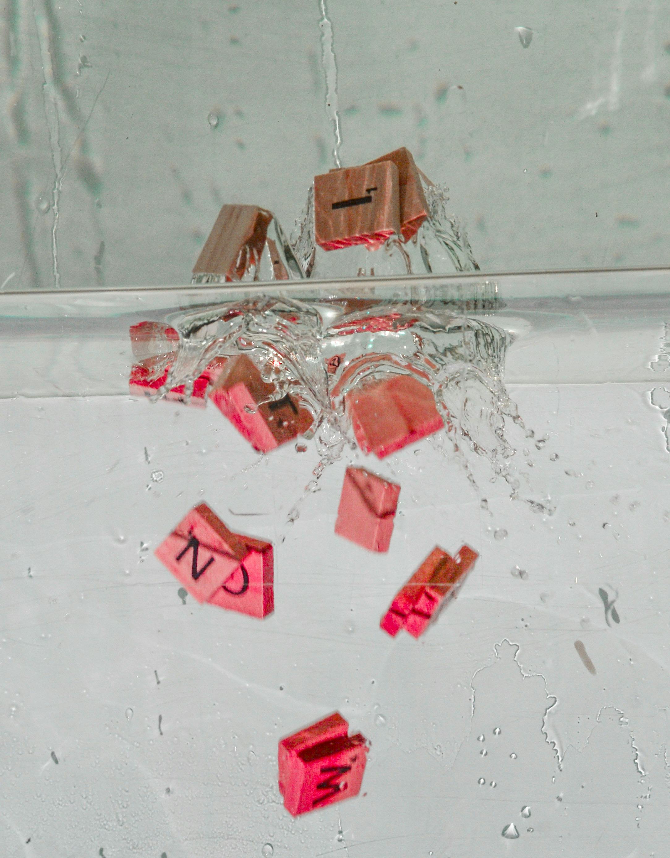 Tayla Gray - fotografia