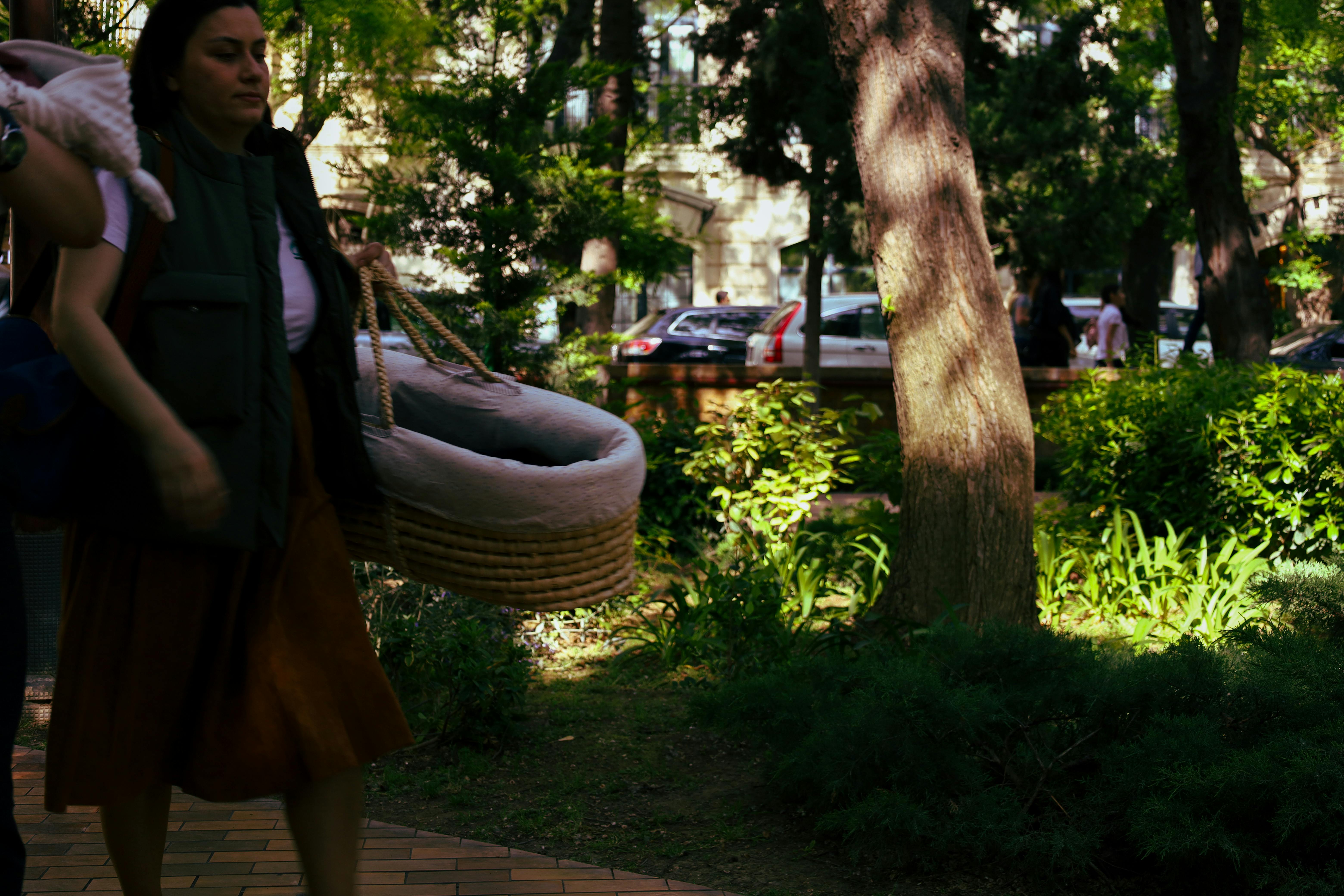 Narmin Aliyeva - 摄影