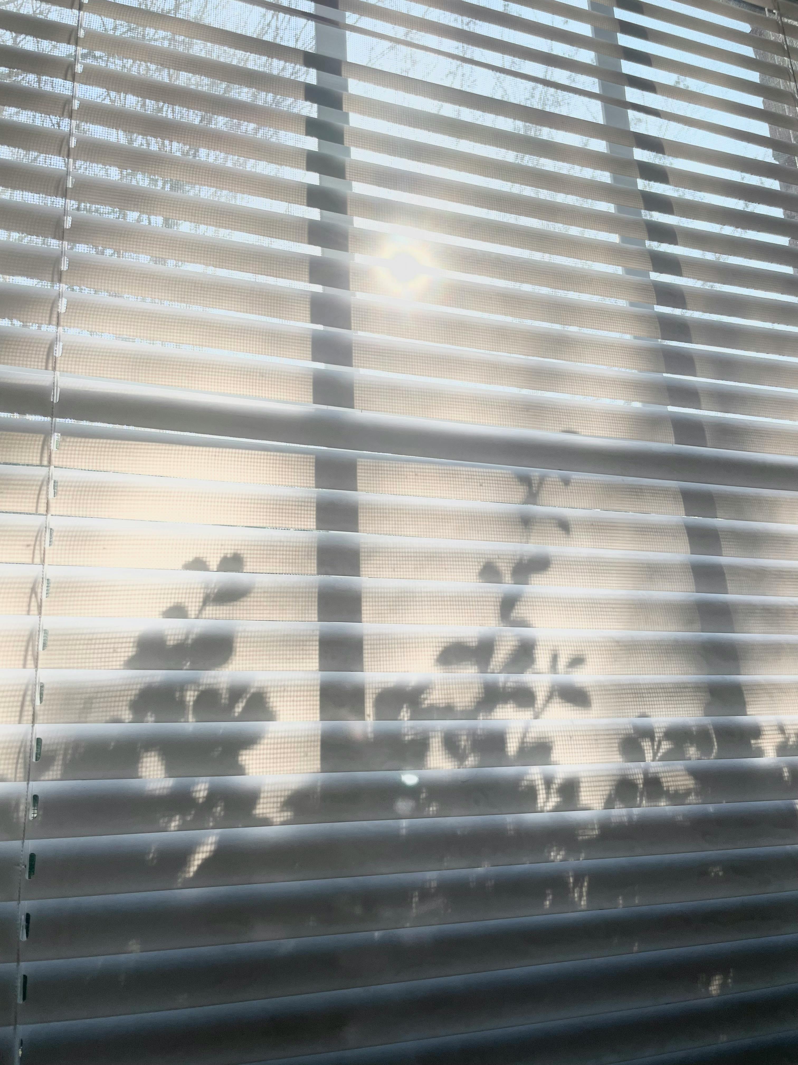 A window with blinds that are open and the sun is shining through ...