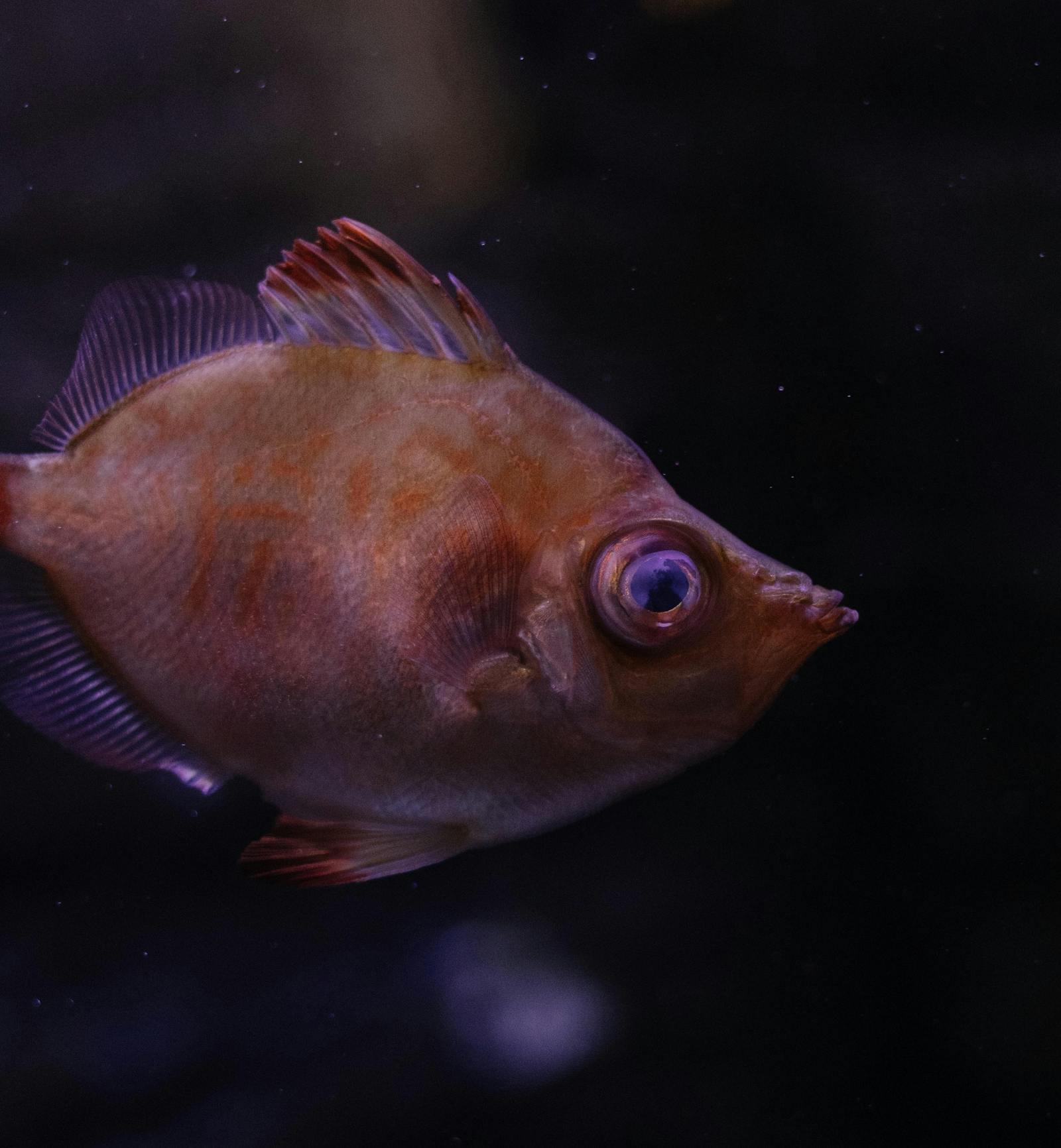 Septic Tank Photos, Download The BEST Free Septic Tank Stock Photos ...