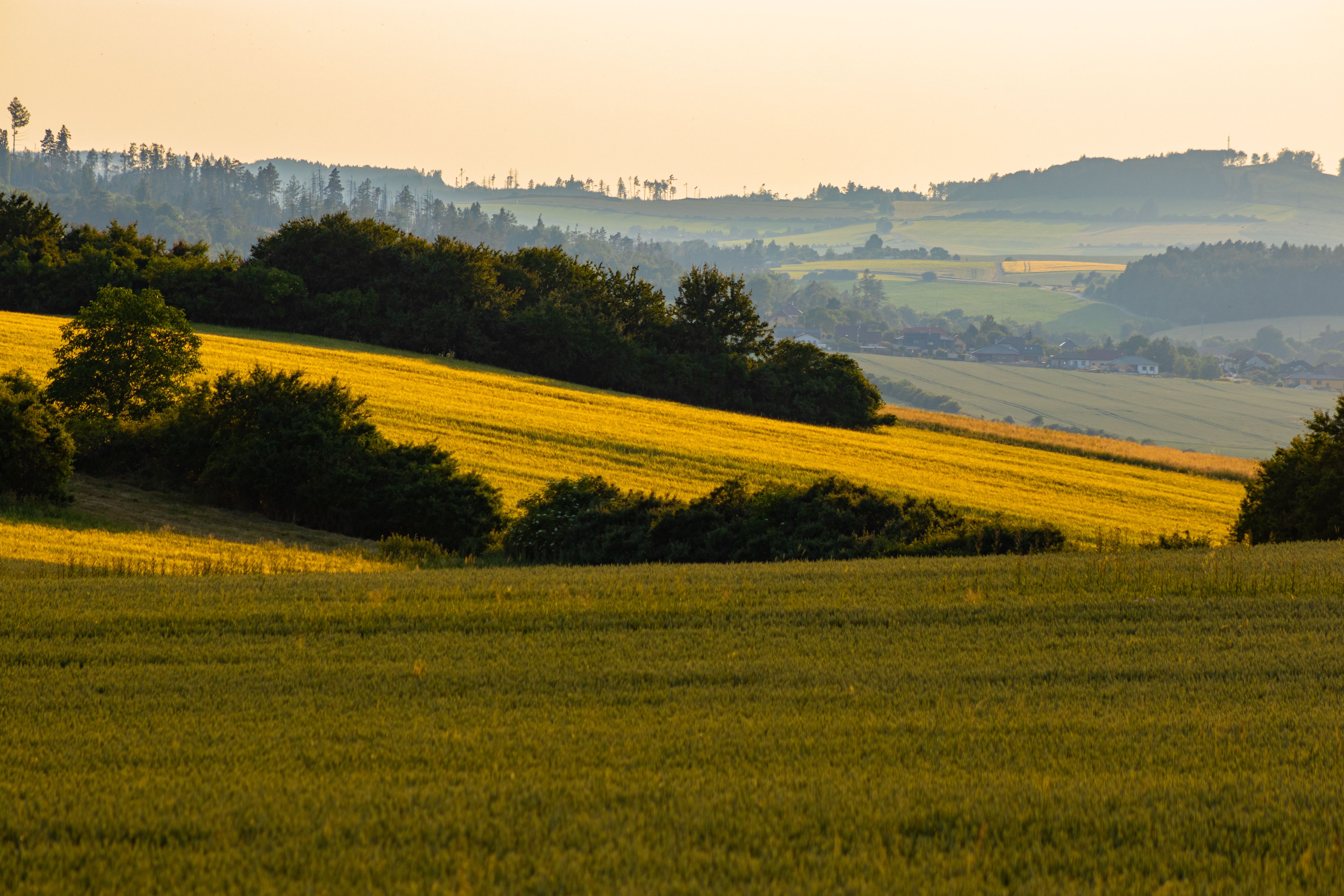 Hills Covered with Fields · Free Stock Photo