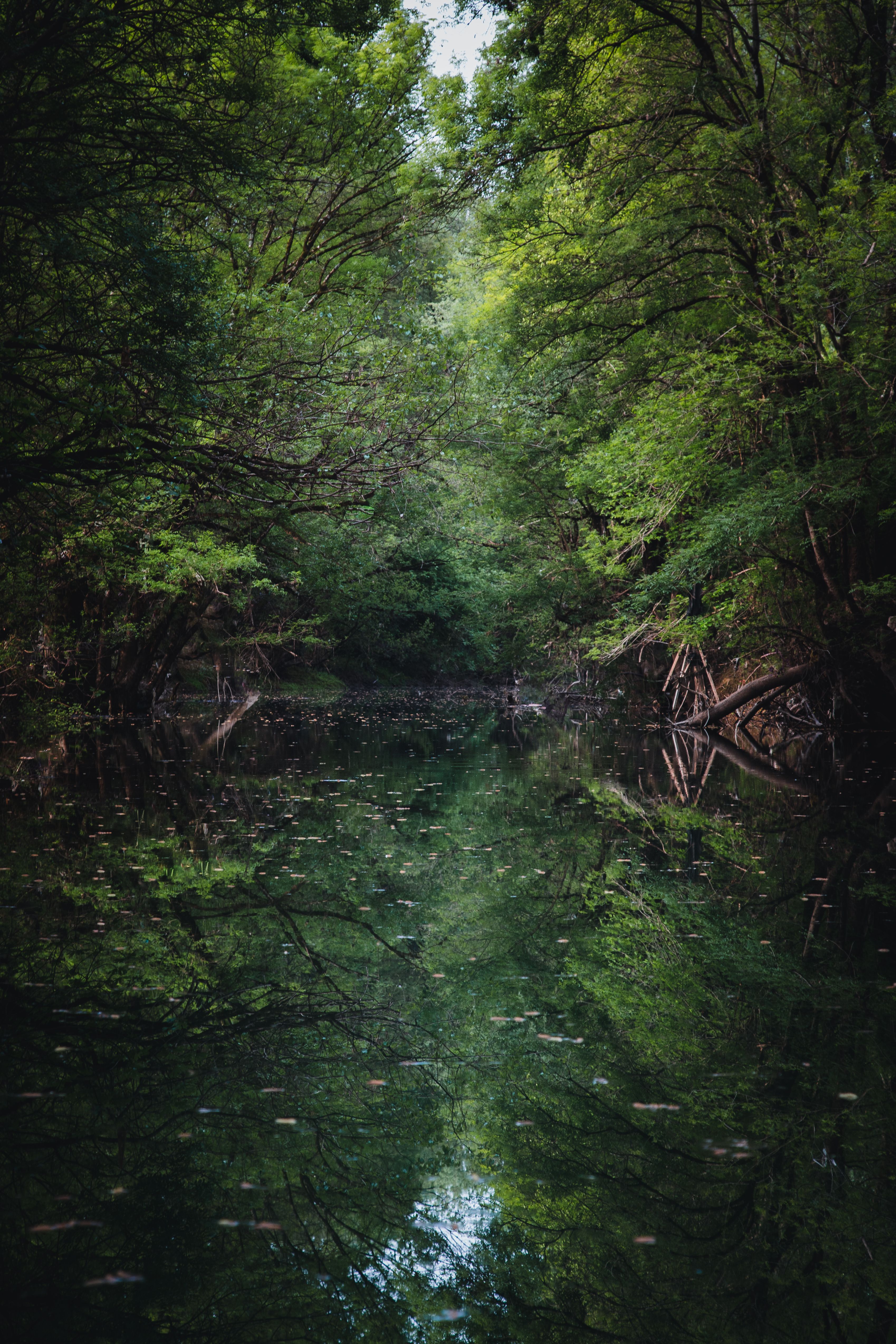 Zeta river · Free Stock Photo