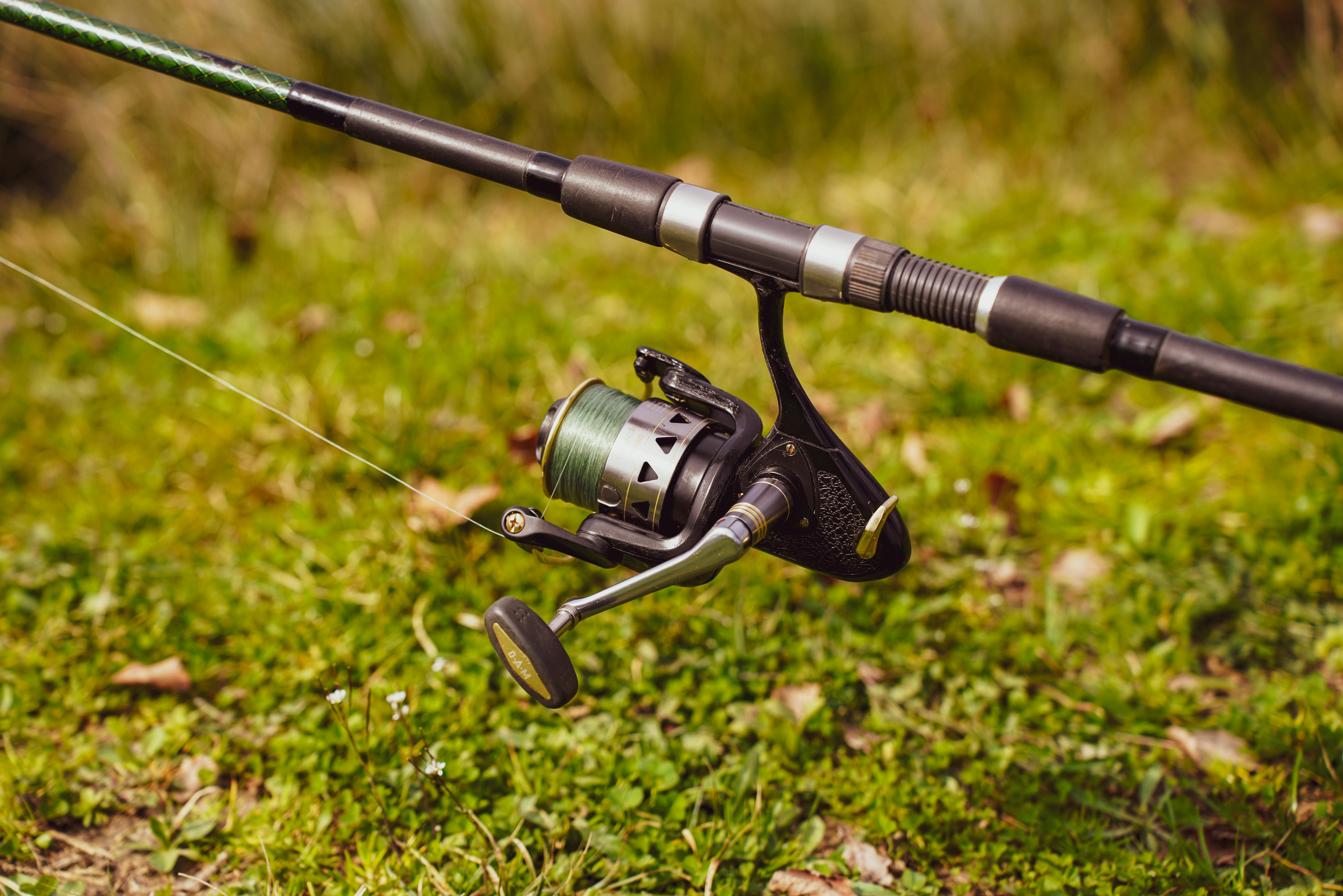 Fishing Rod over Grass · Free Stock Photo