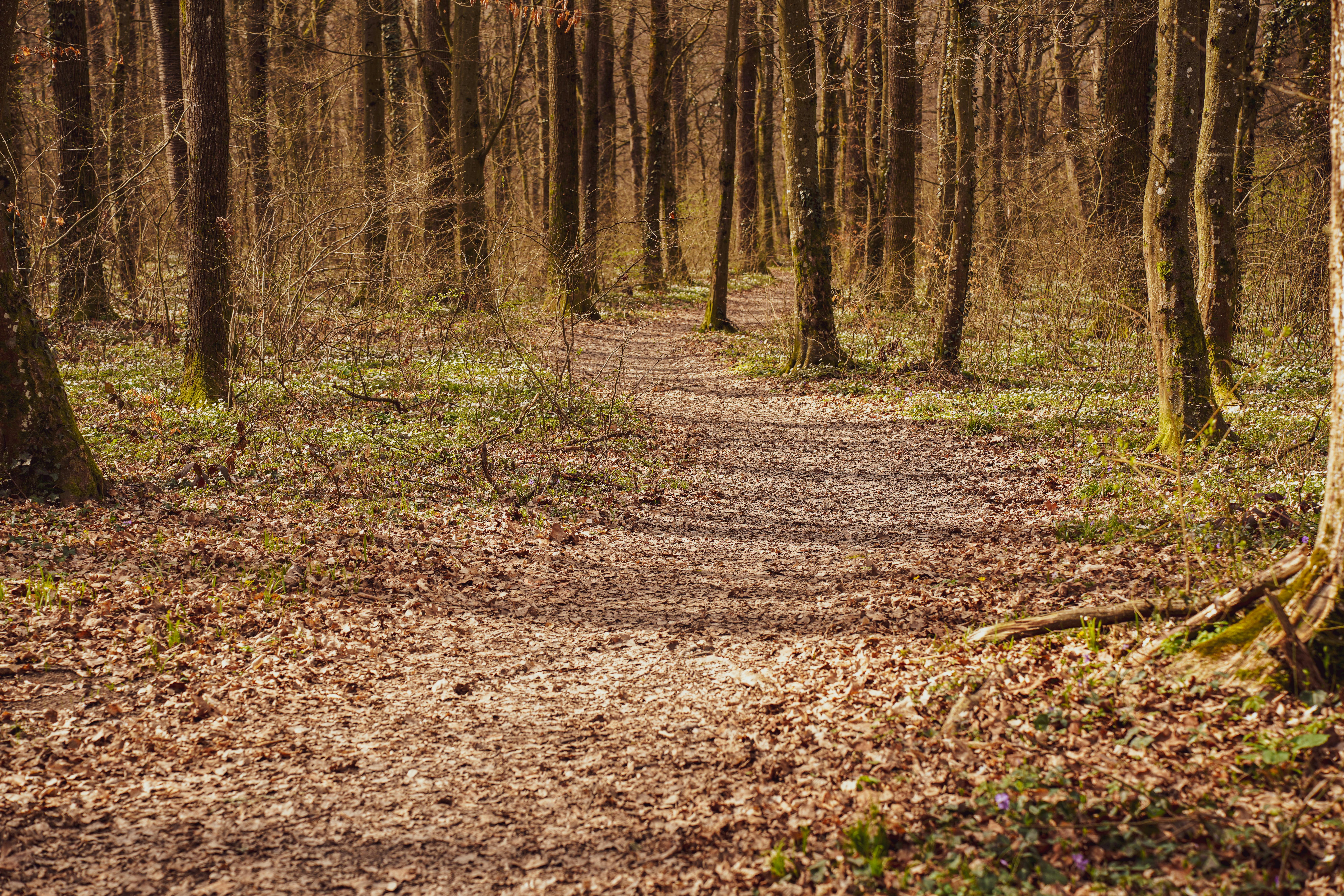 Photo Of An Empty Road During Daytime · Free Stock Photo