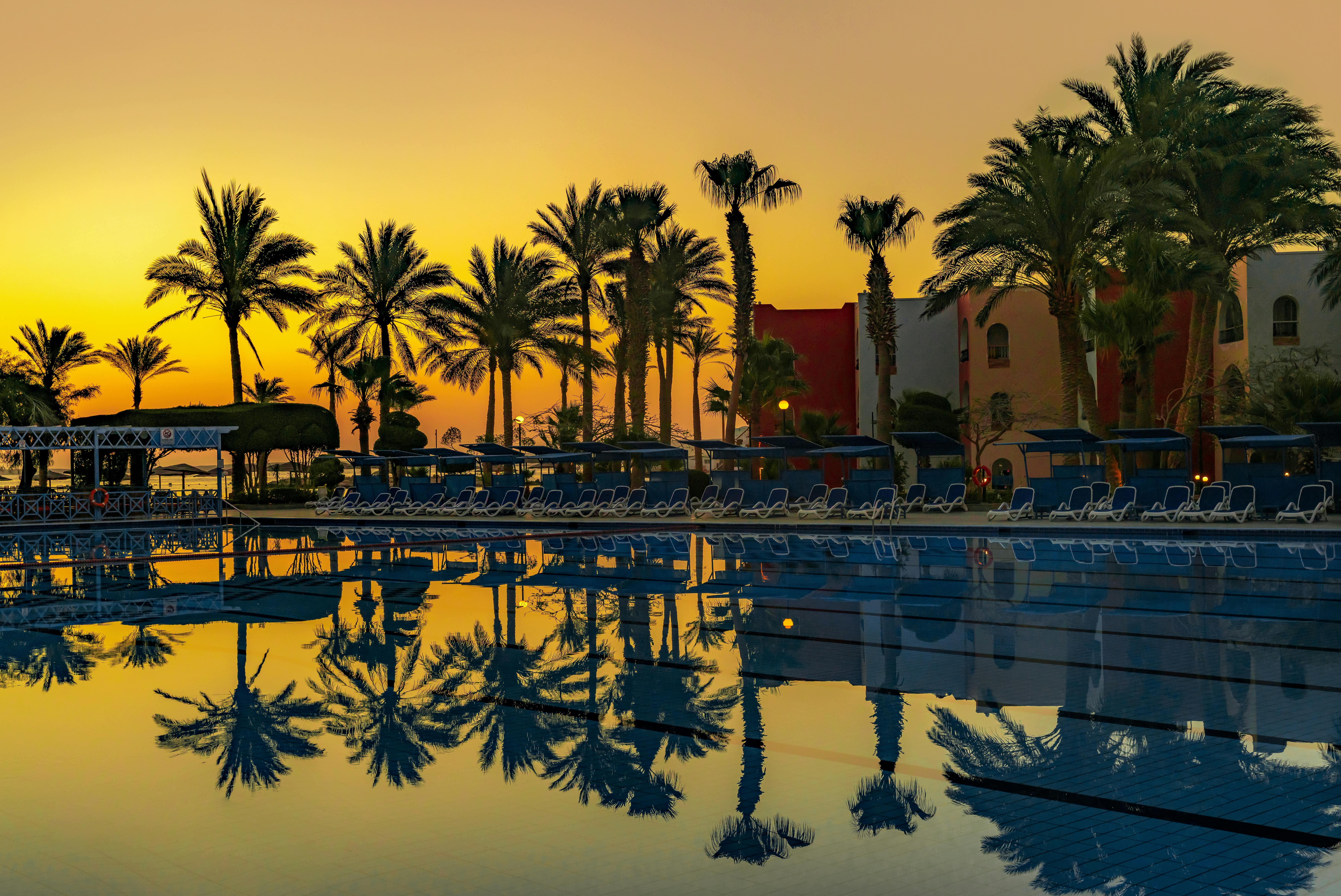 Pool and Palm Trees in Resort at Sunset · Free Stock Photo