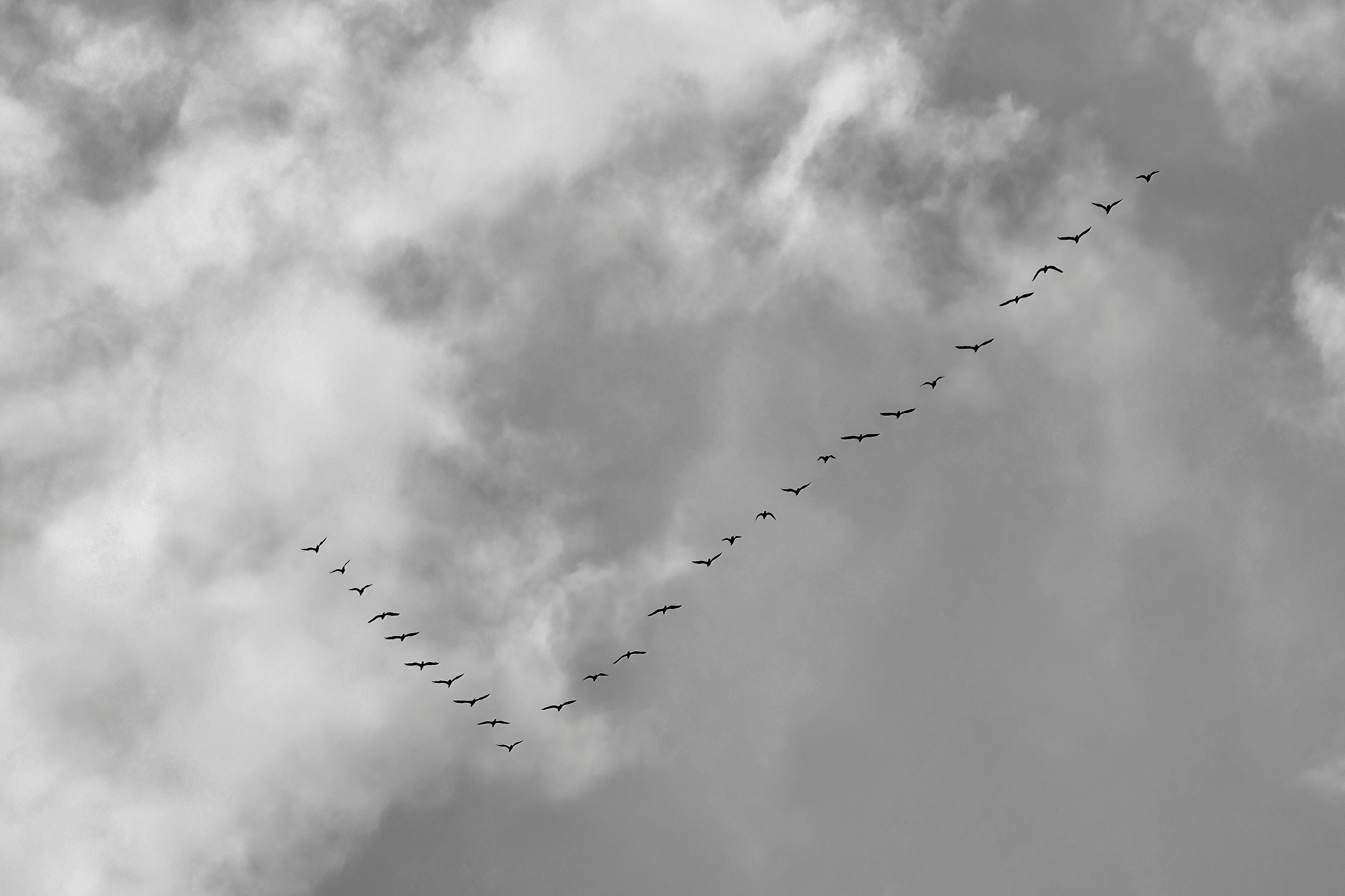 Check Off Photos, Download The BEST Free Check Off Stock Photos & HD Images