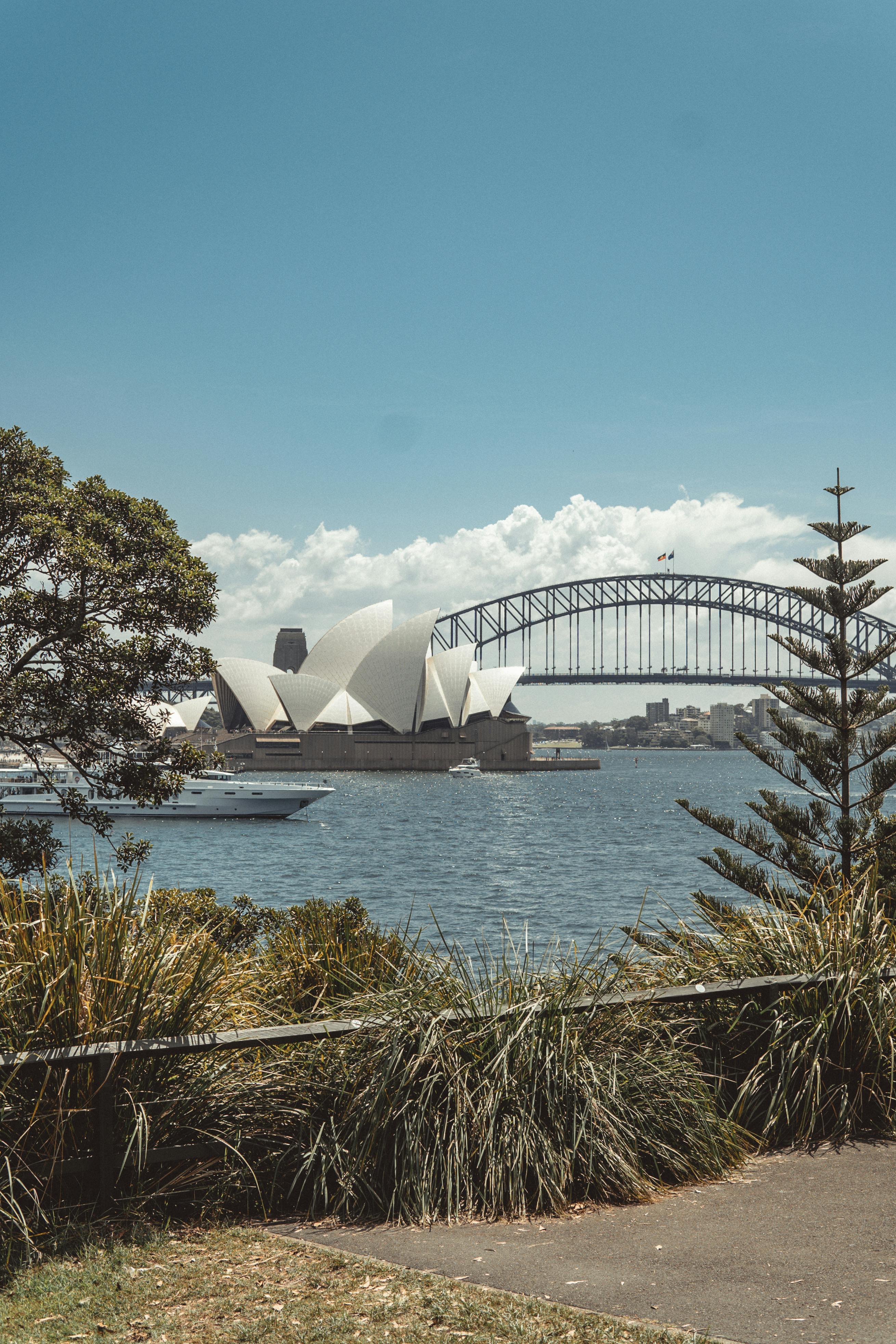 Darlings Photos, Download The BEST Free Darlings Stock Photos & HD Images