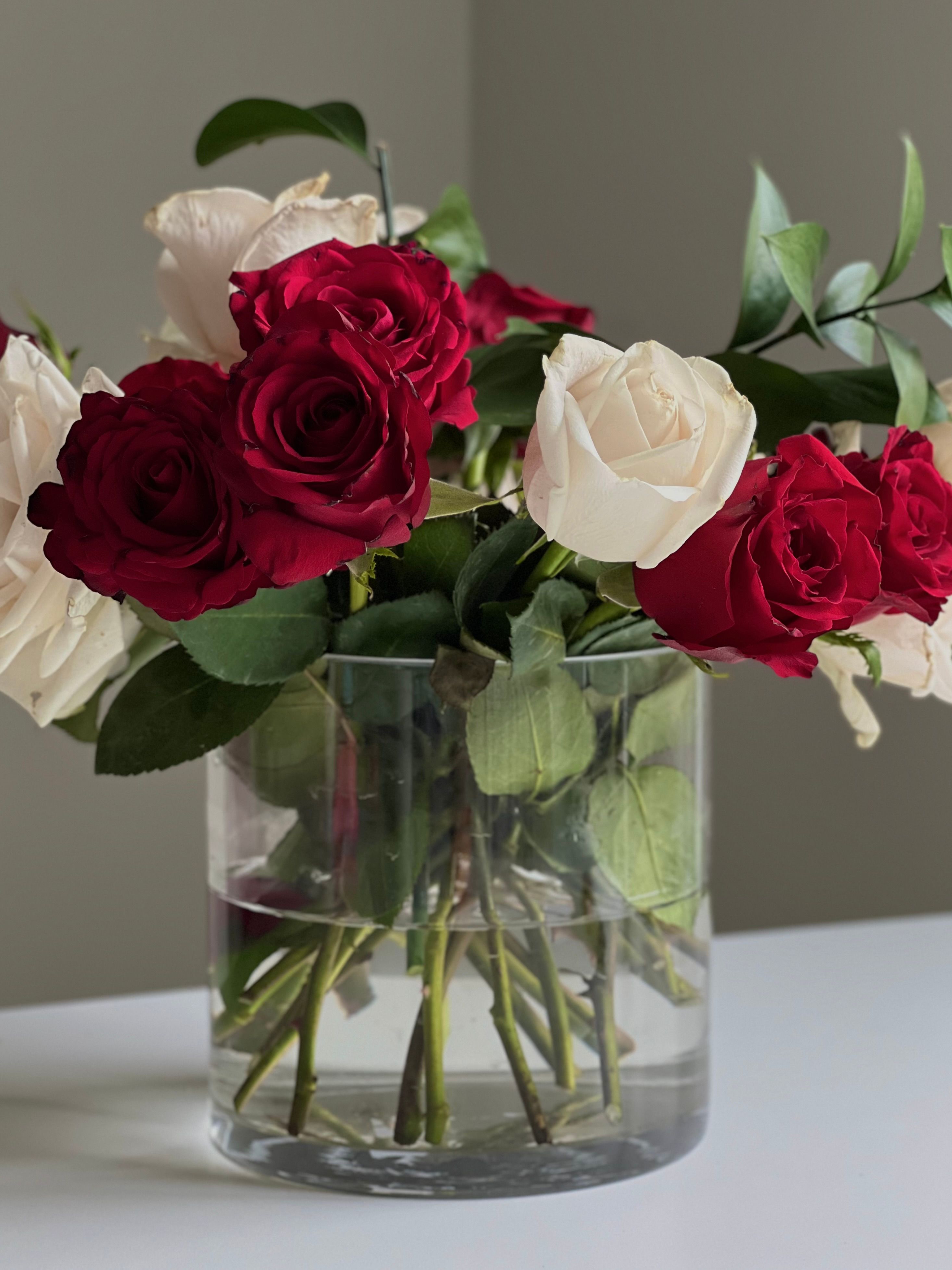 White and Red Roses in Vase · Free Stock Photo