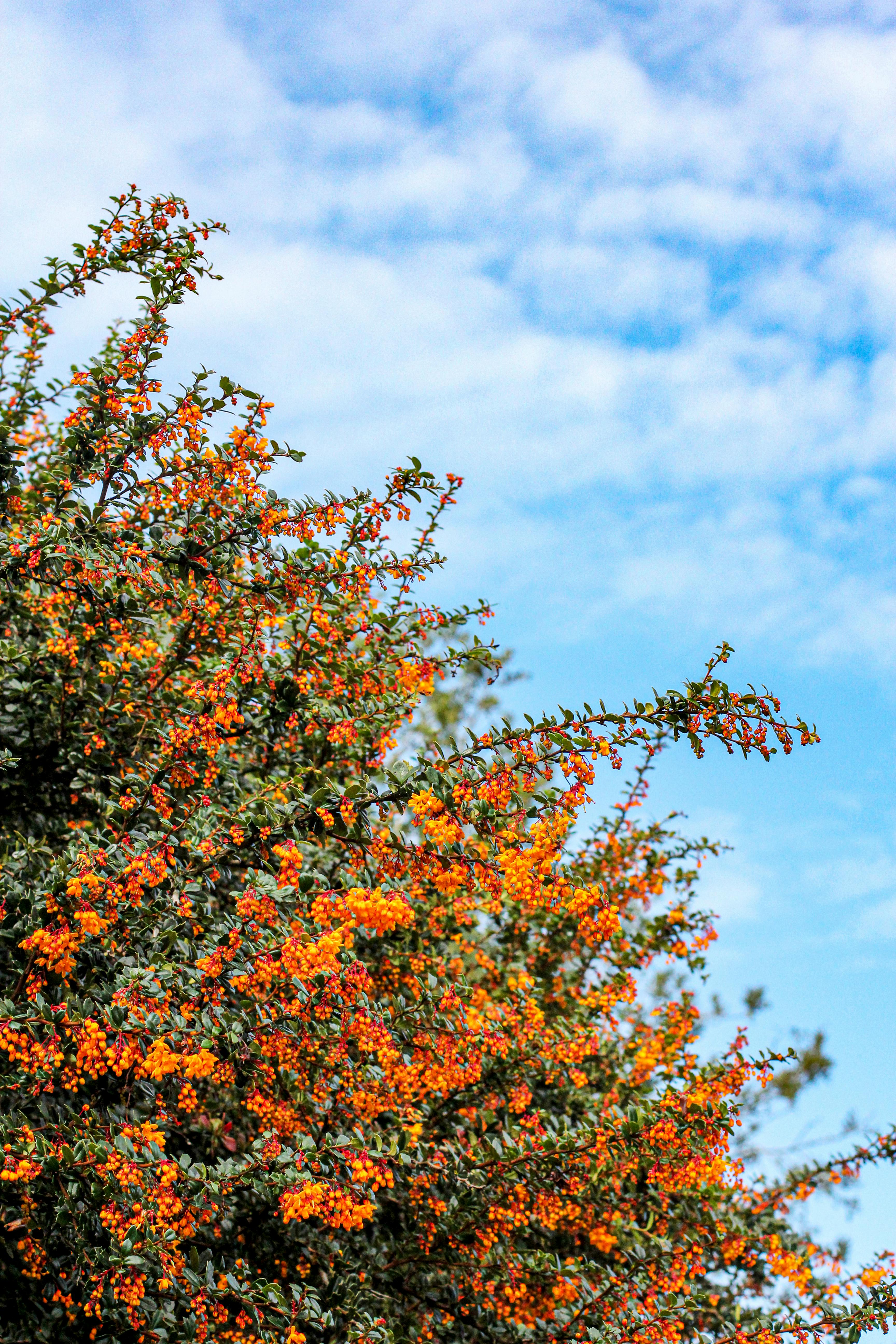 1080p Wallpaper Pixel Photos, Download The BEST Free 1080p Wallpaper ...