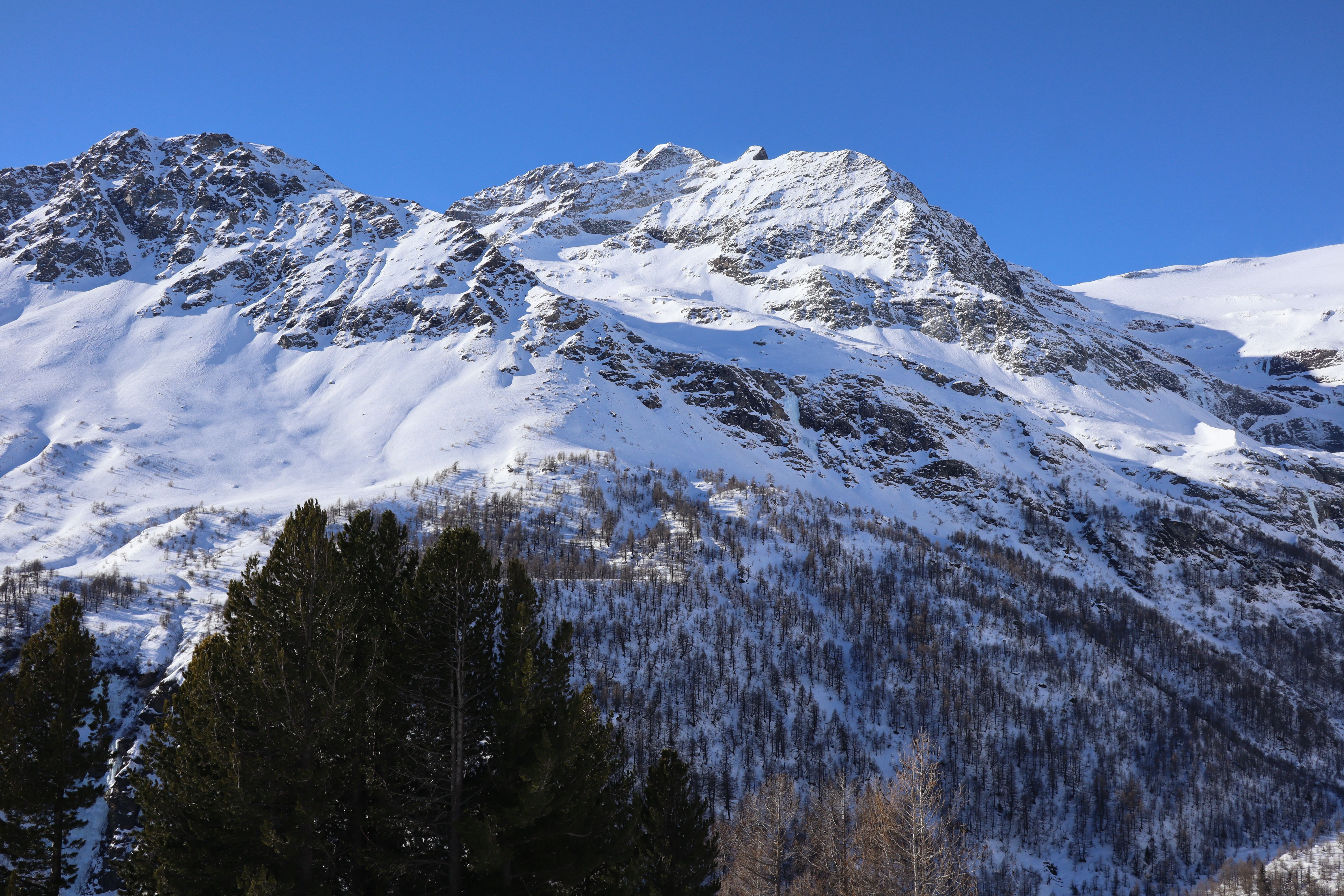 View of the Snow Covered Alps From the Bernina Express · Free Stock Photo