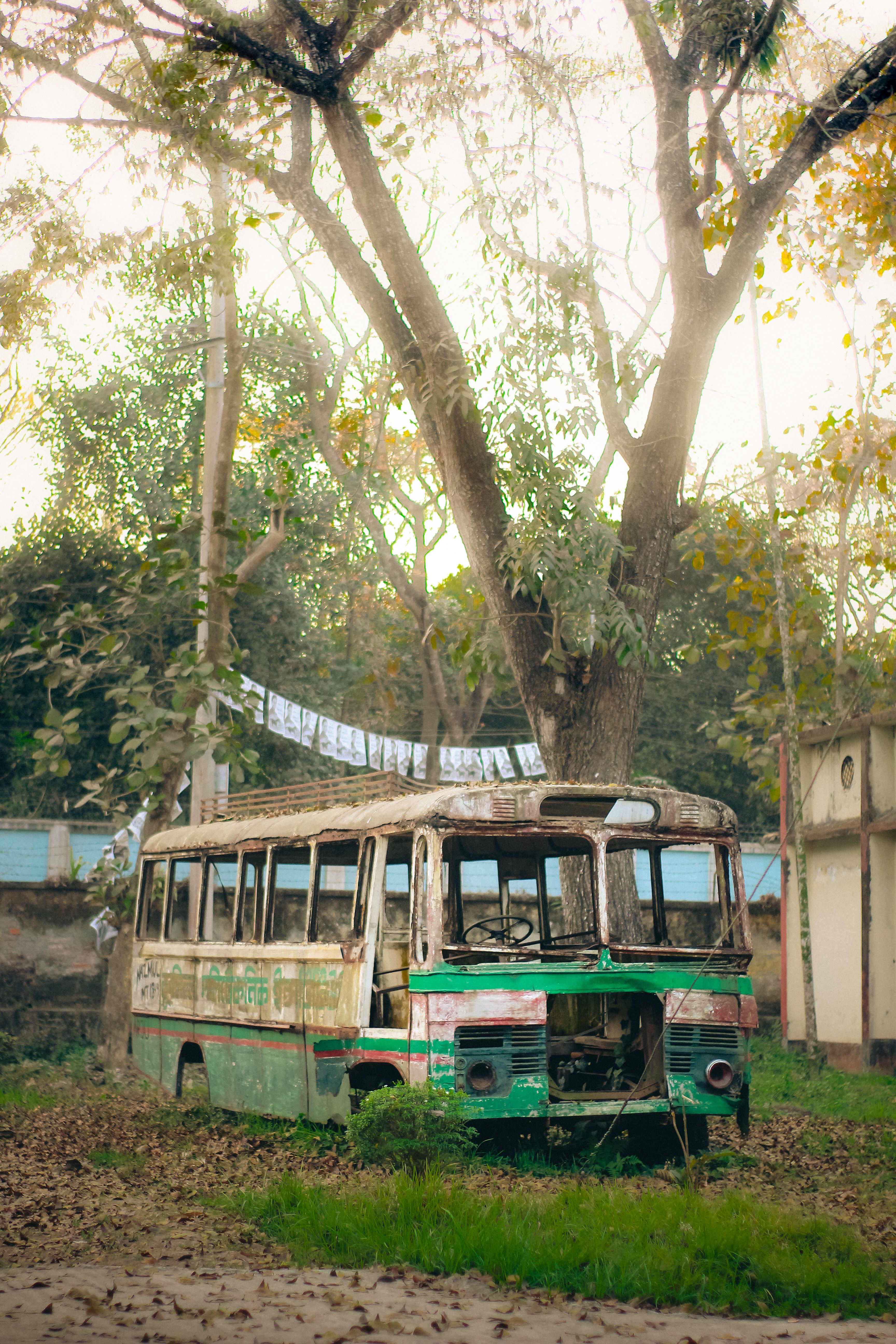 Decaying Wreck of Bus · Free Stock Photo