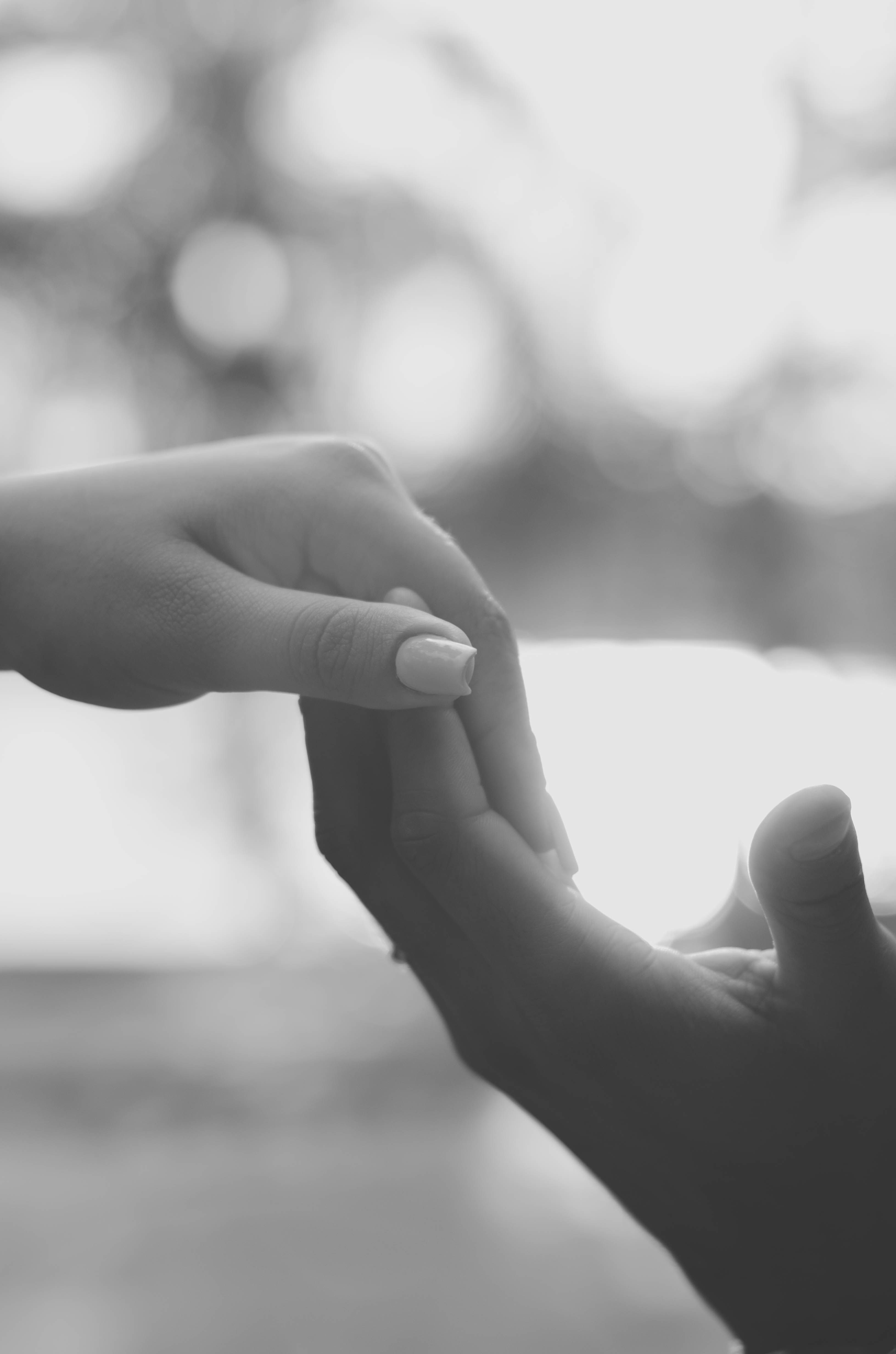 Hands of Woman and Man Touching · Free Stock Photo