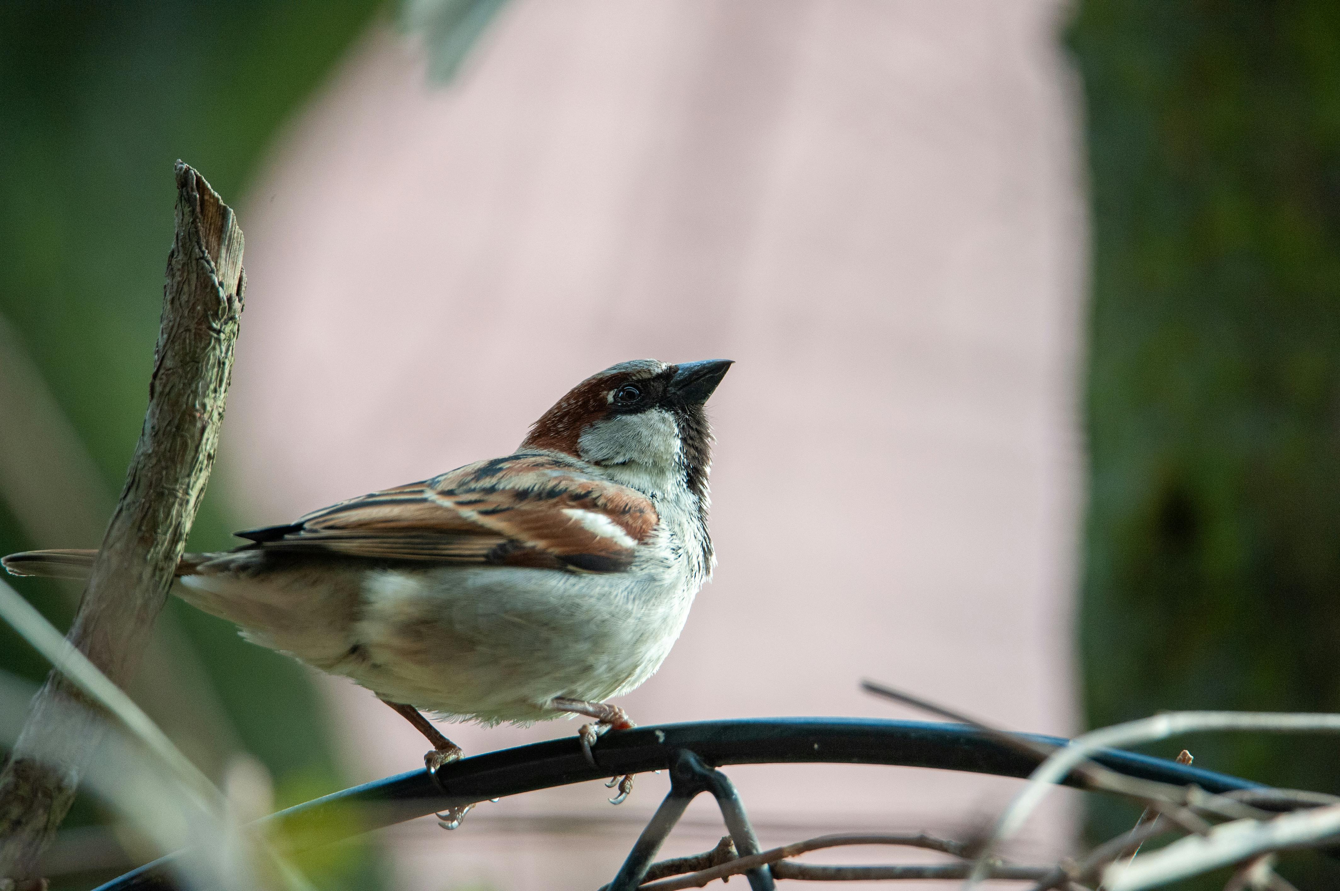 Felix Rehm – Fotografia