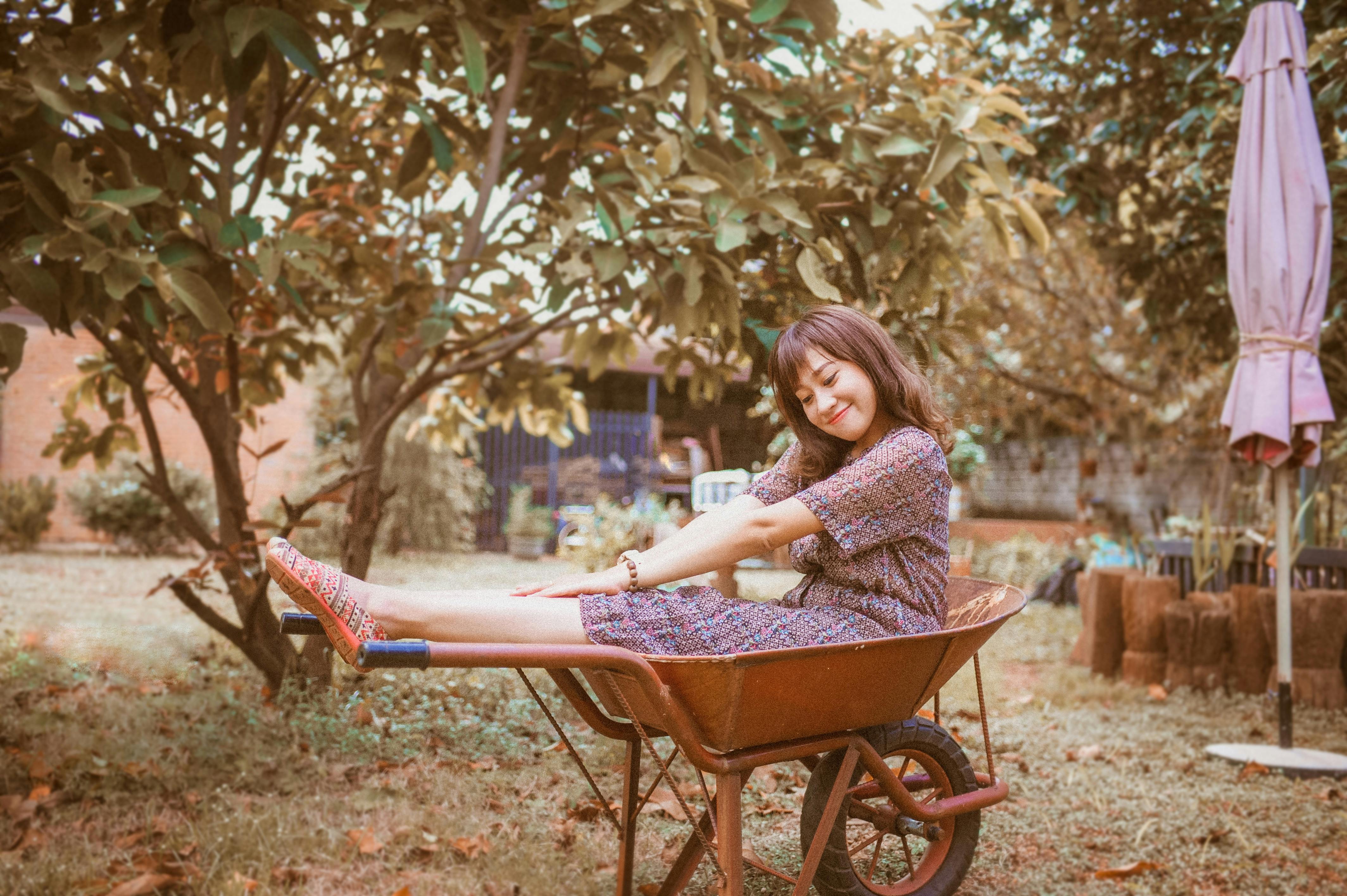 Woman Sitting on Wheelbarrow Under Green Leafed Tree · Free Stock Photo