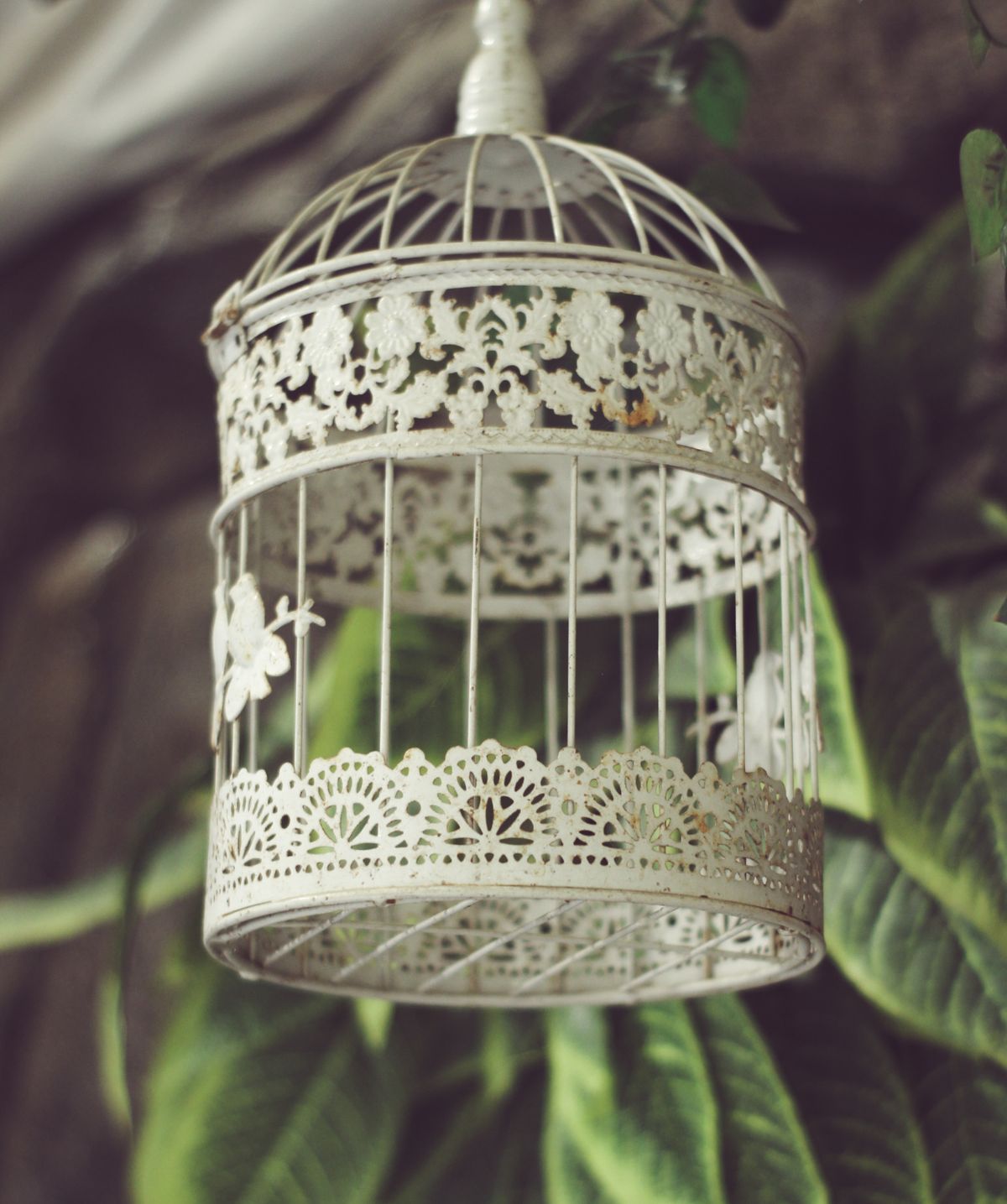 Cage Photos, Download The BEST Free Cage Stock Photos & HD Images