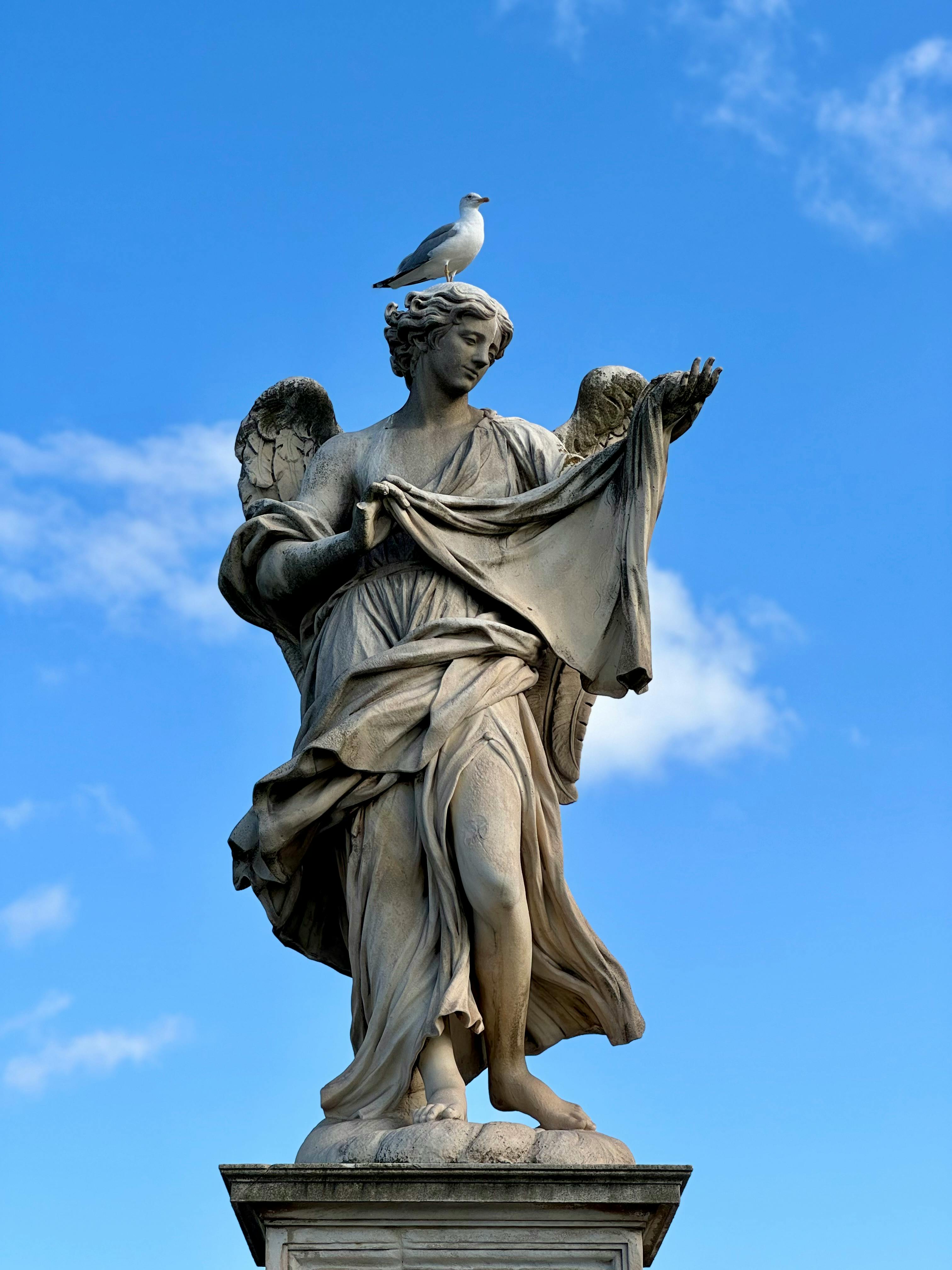 Seagull on Statue · Free Stock Photo