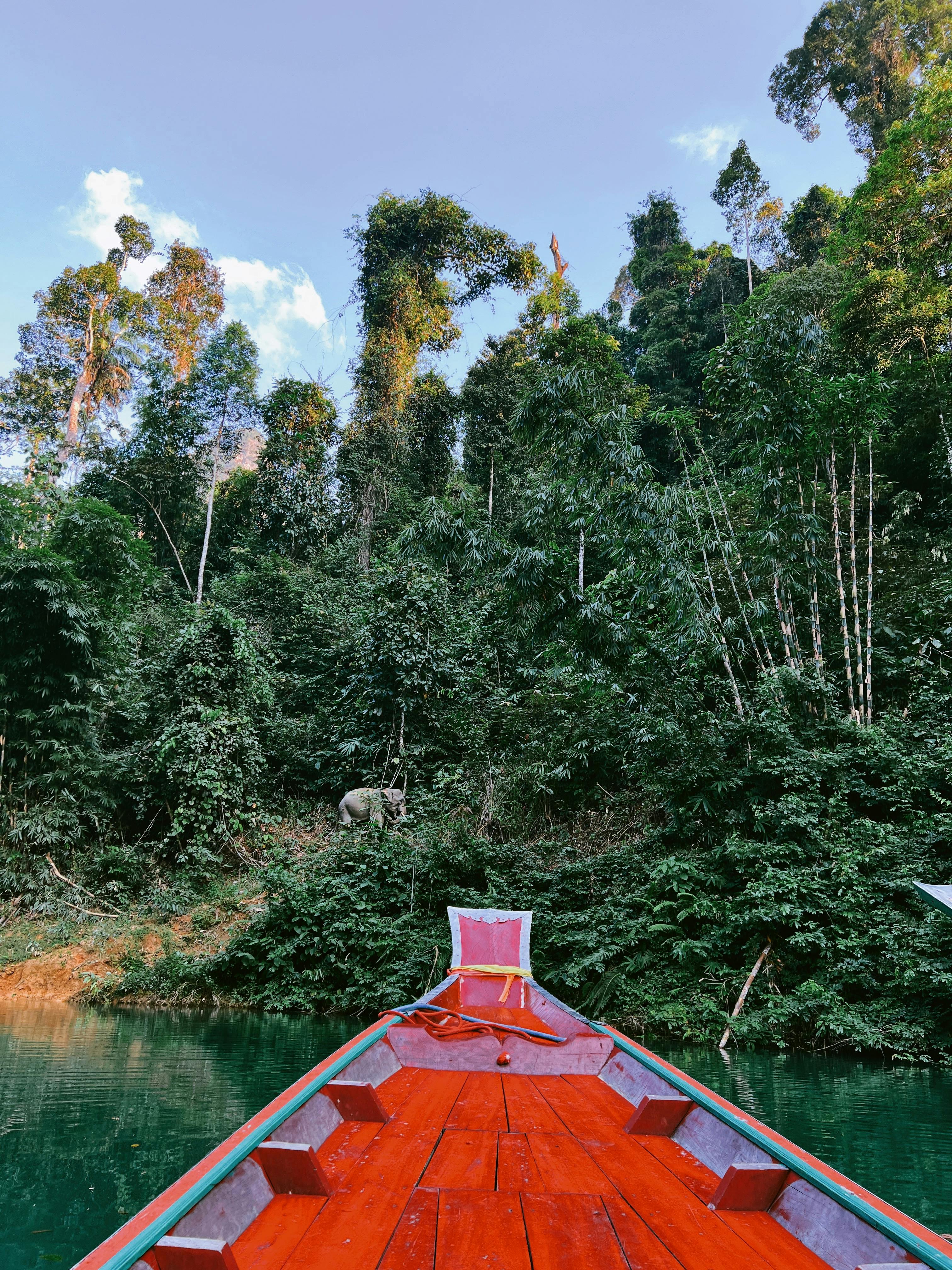 Bow Ramki Photos, Download The BEST Free Bow Ramki Stock Photos & HD Images