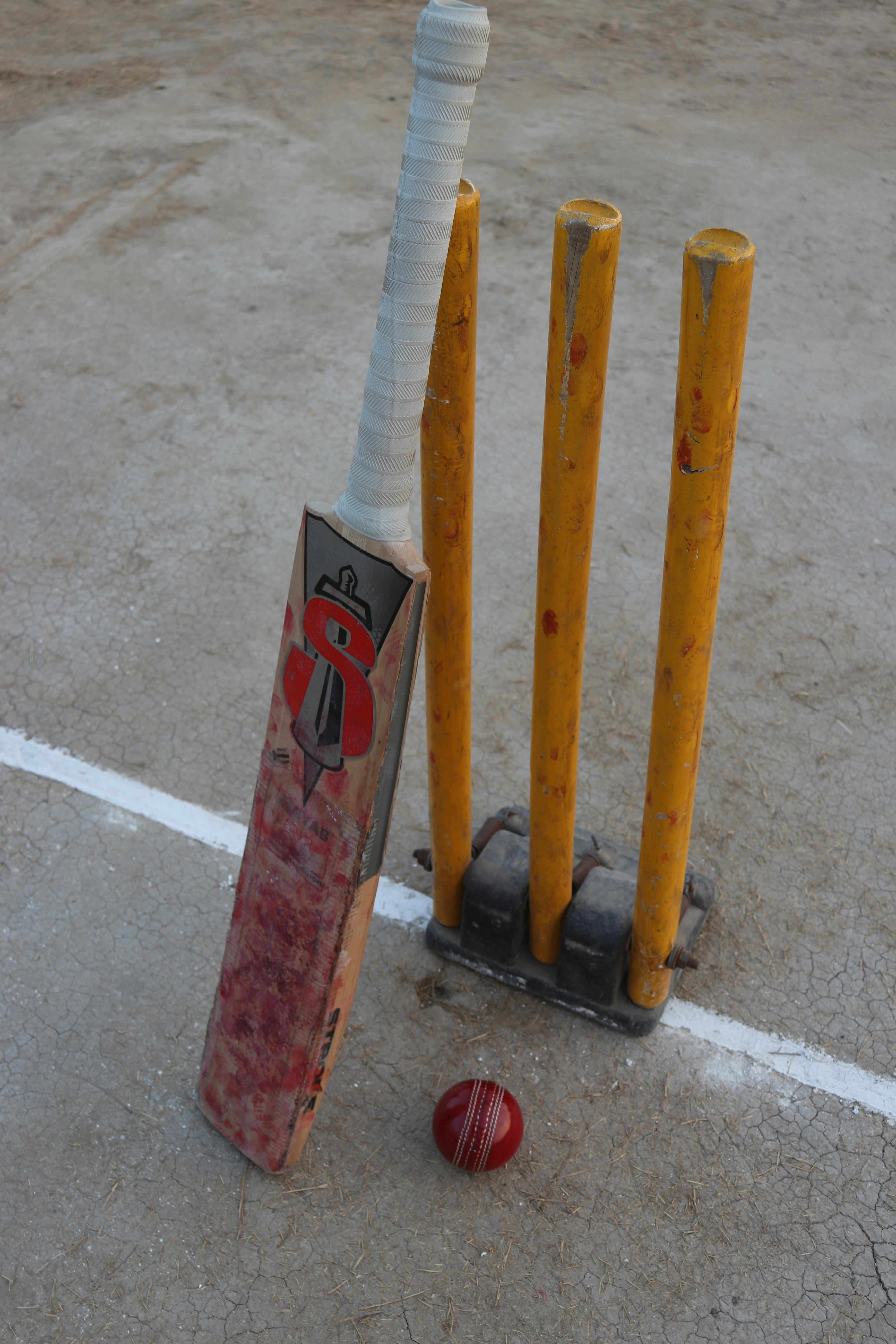 Cricket Bat and Ball · Free Stock Photo