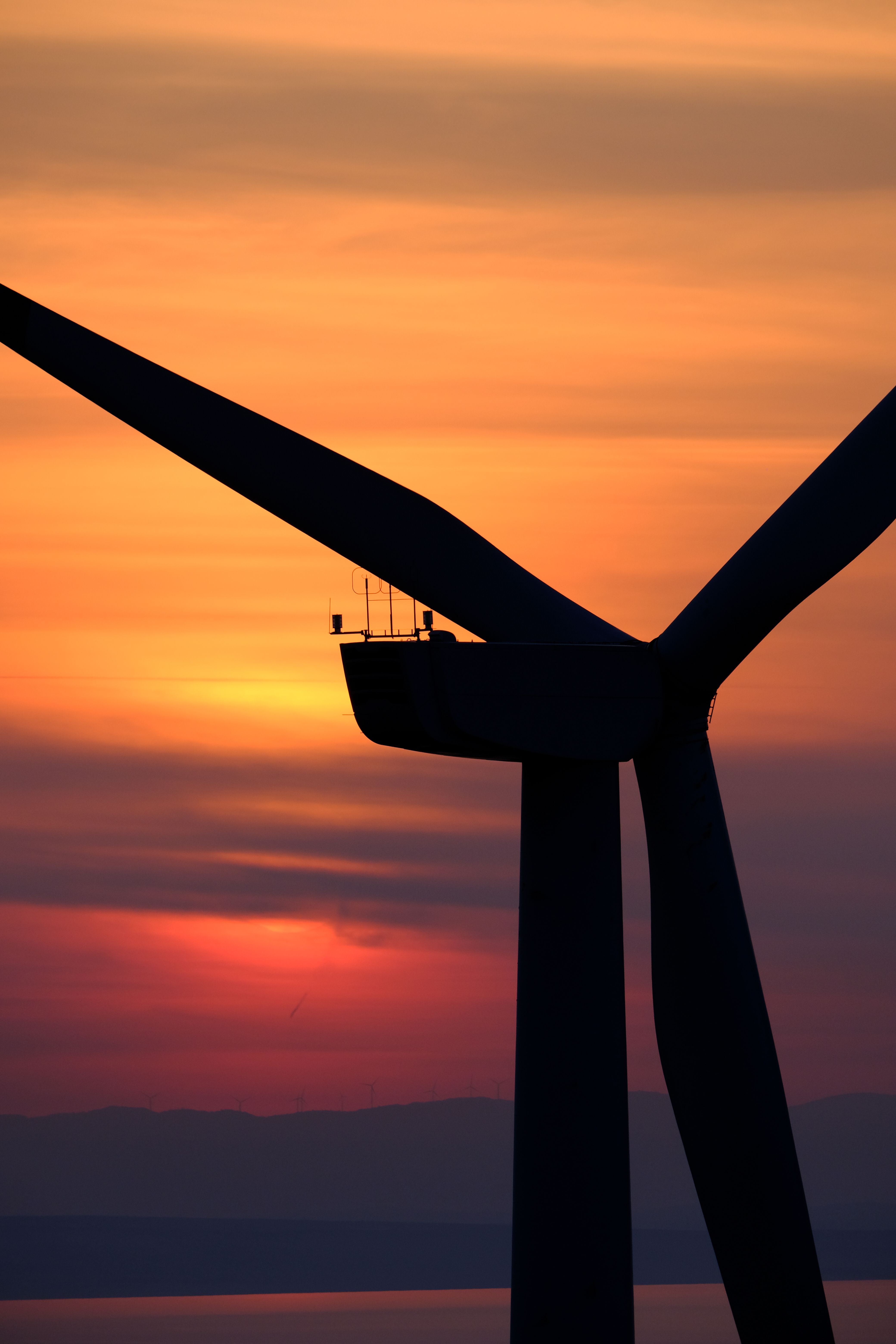 Silhouette of Wind Turbines at Sunset · Free Stock Photo