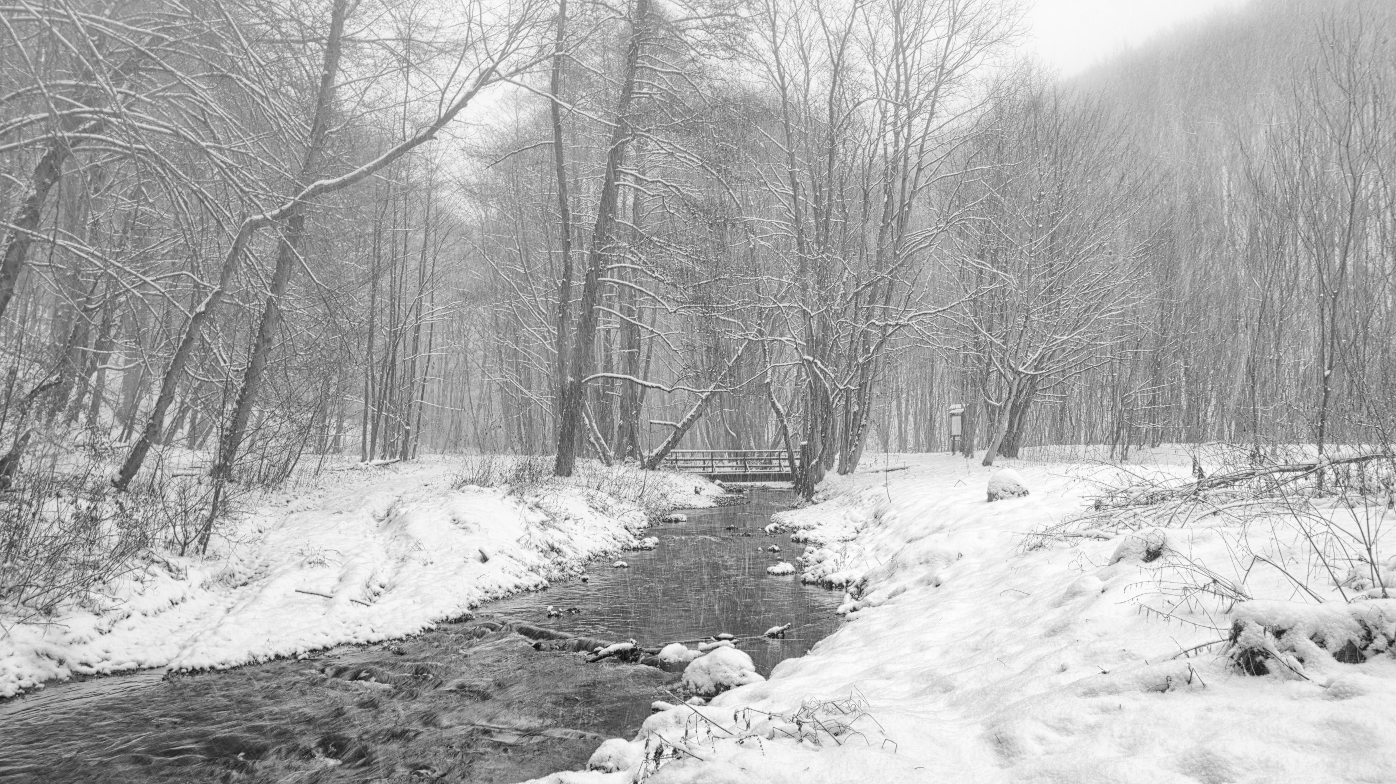 Stream Running through Snow Covered Park · Free Stock Photo