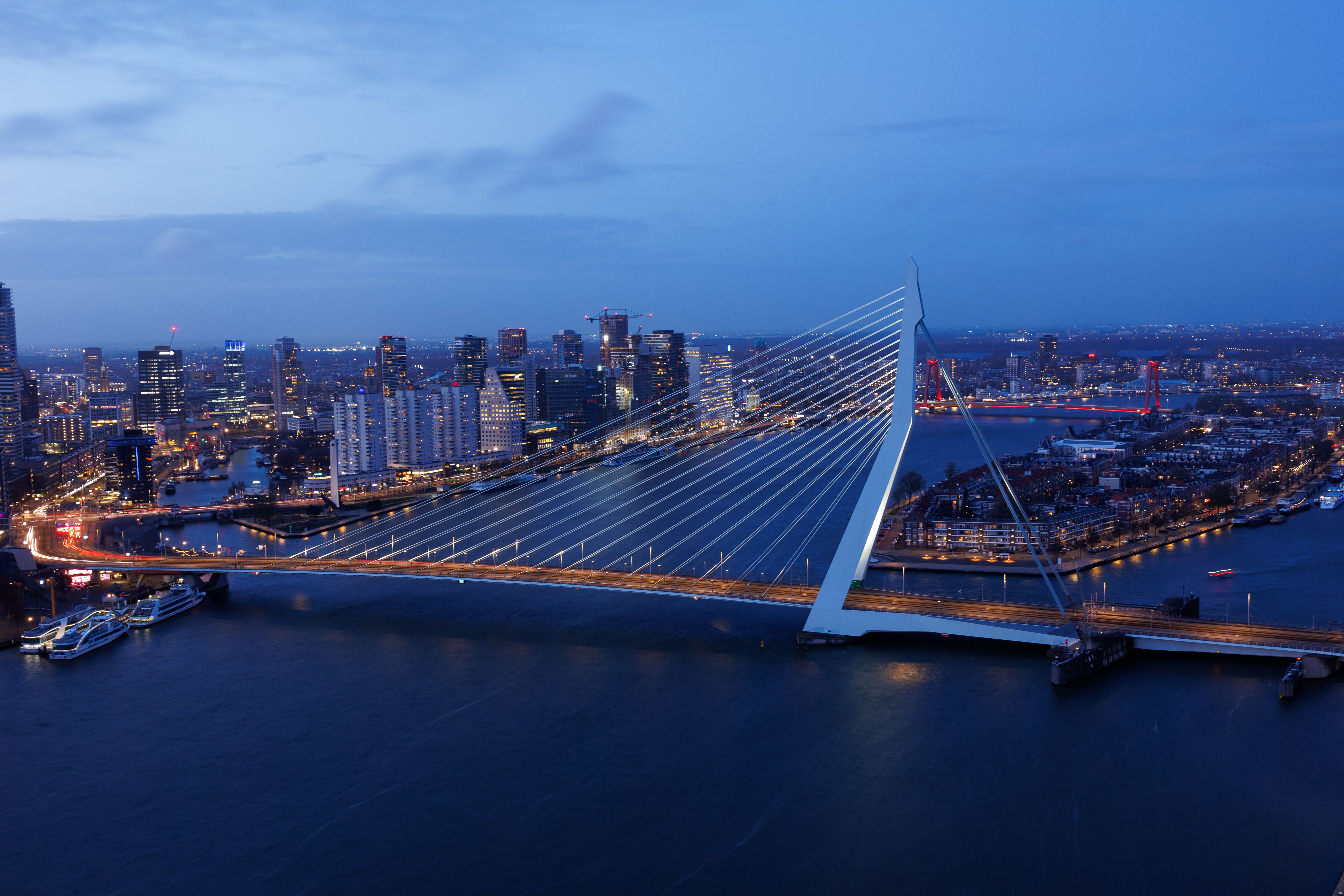 Suspension Bridge in Rotterdam in the Evening · Free Stock Photo