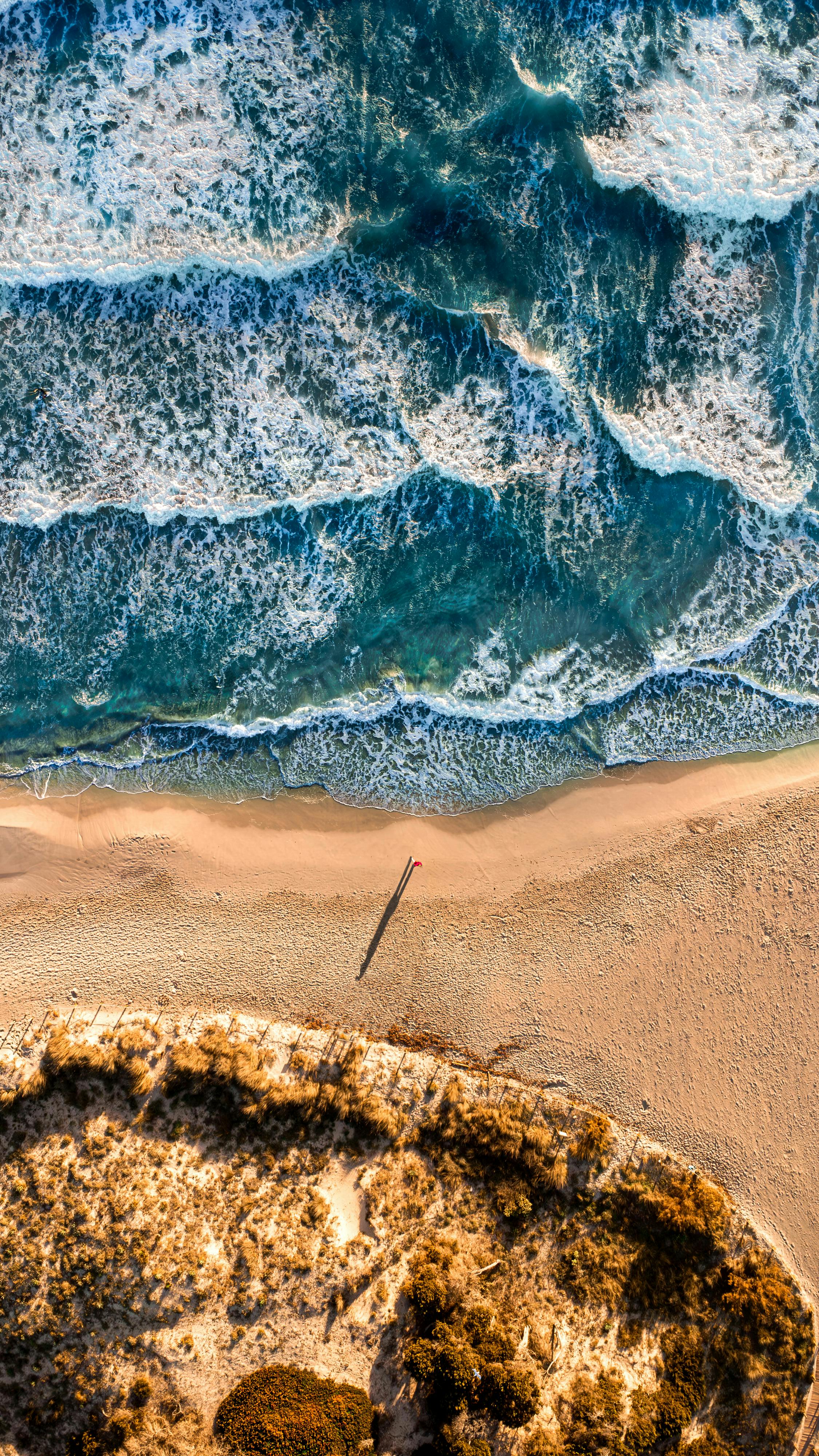 Matteo Botta - 写真