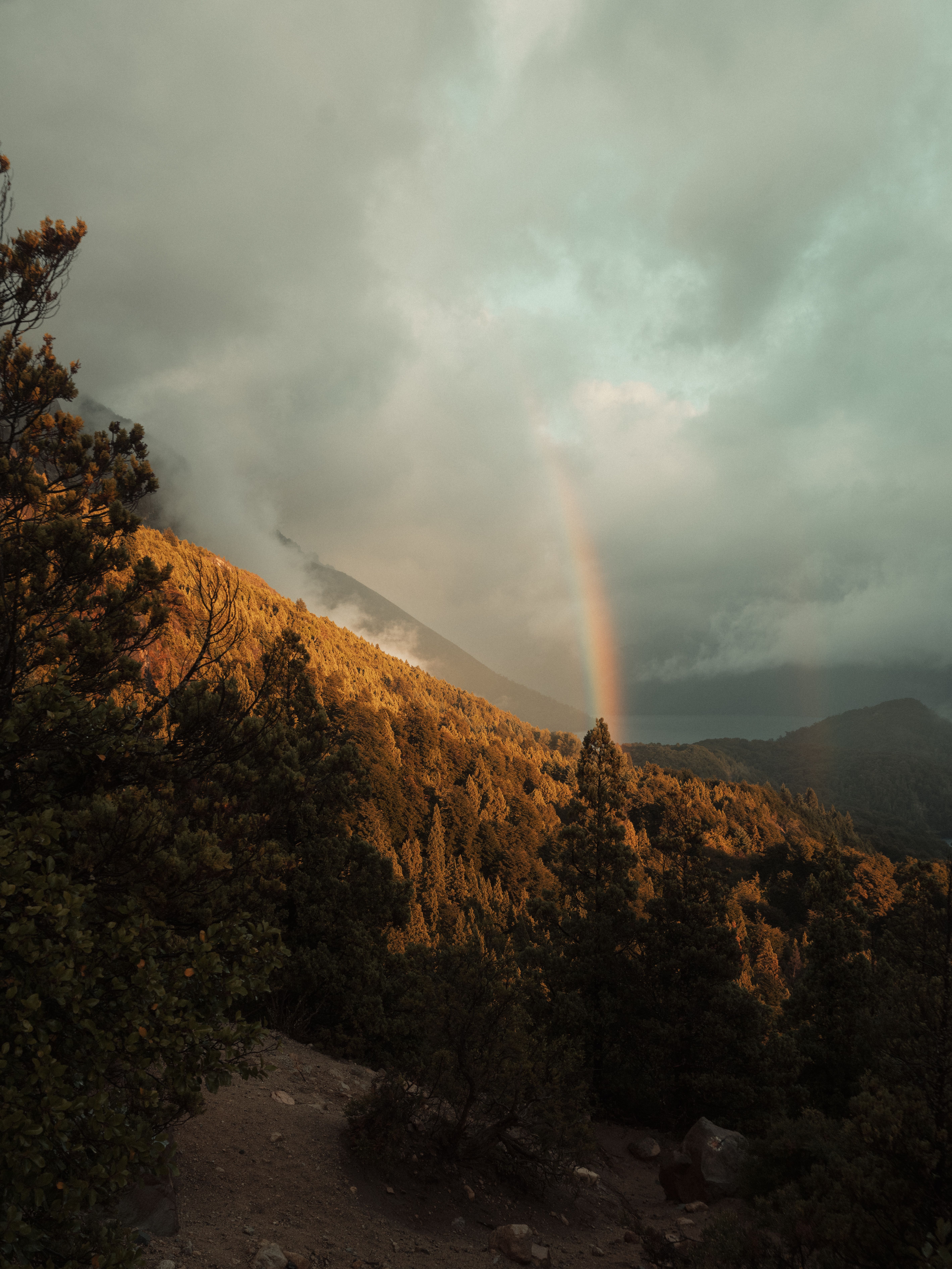 Basketry Rainbow Photos, Download The BEST Free Basketry Rainbow Stock ...