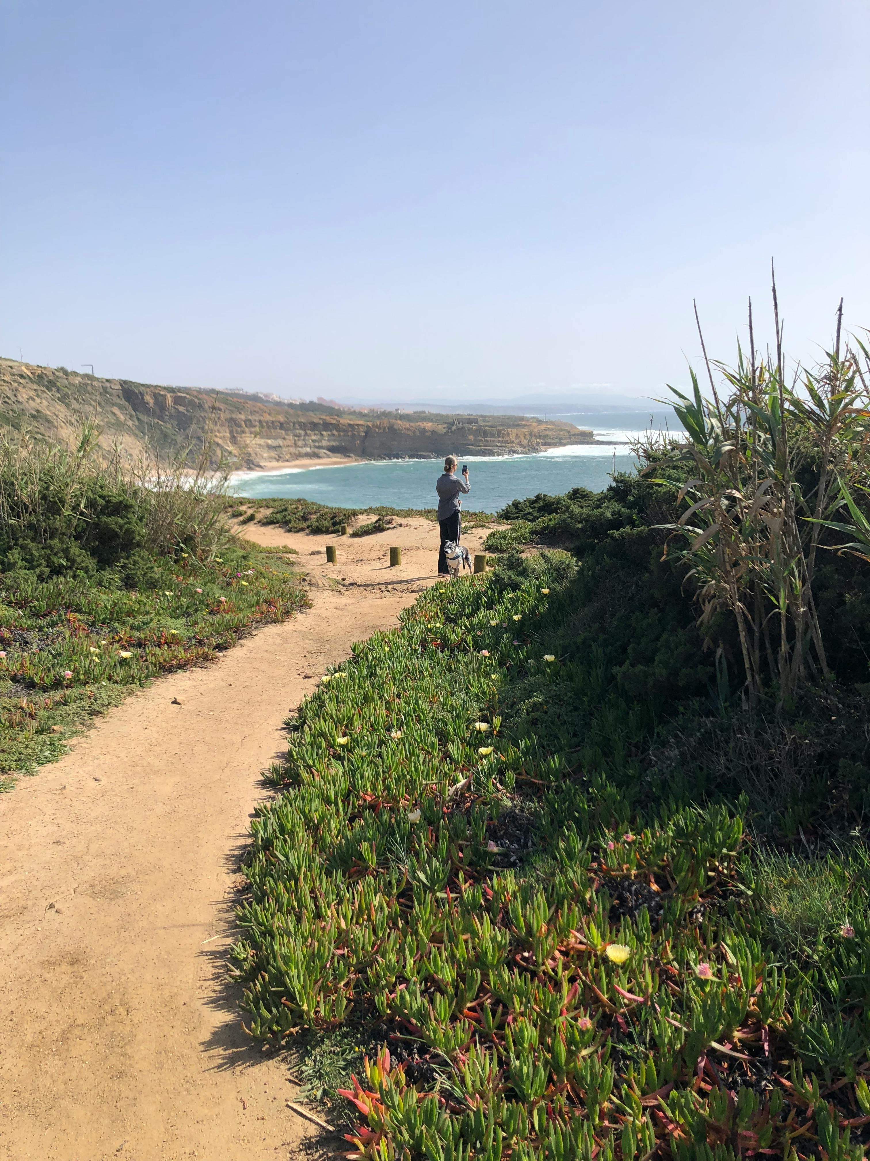 20,000+张最精彩的“Take Part In”图片 · 100%免费下载 · Pexels素材图片