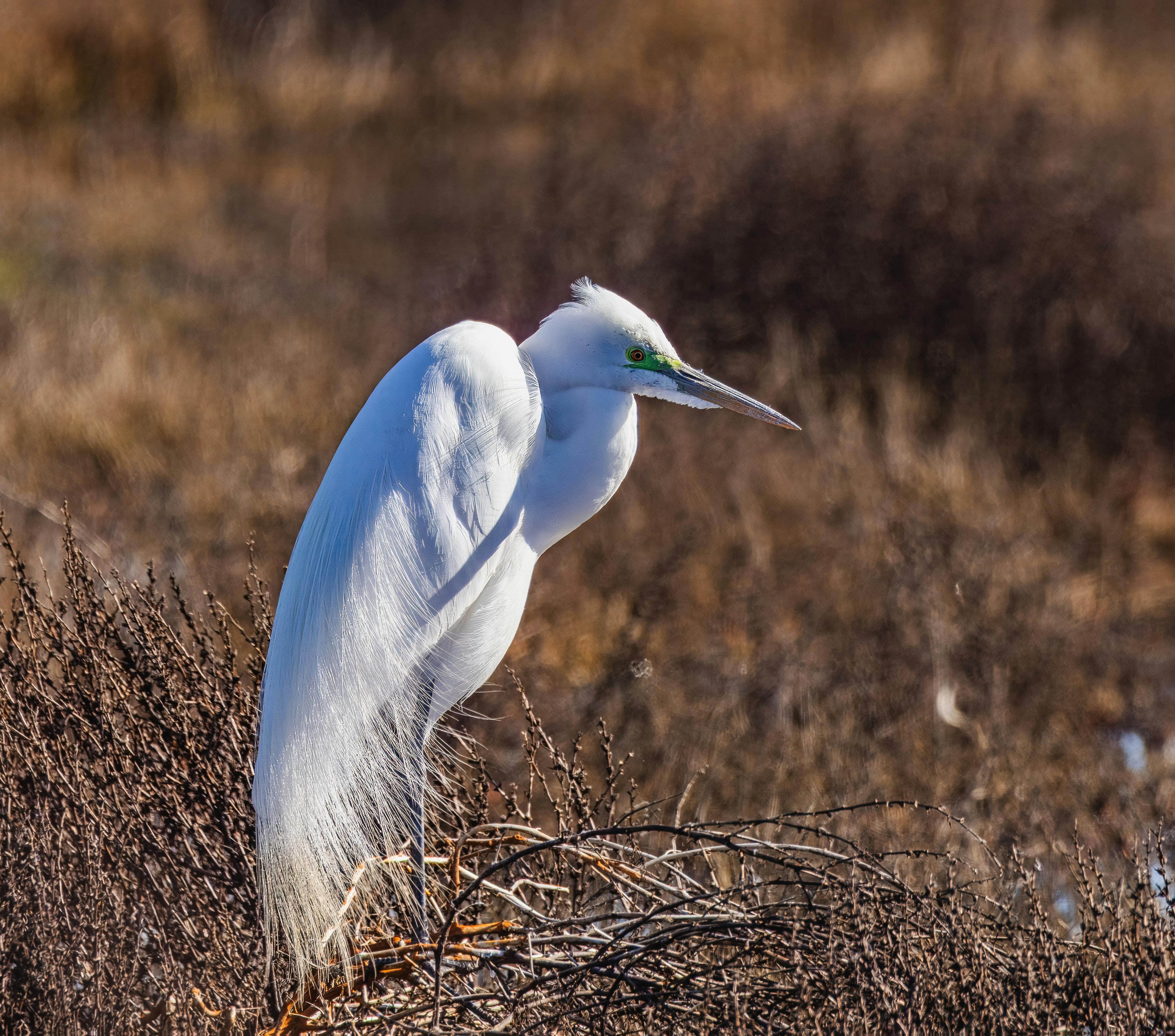 A Photo For Flyer Photos, Download The BEST Free A Photo For Flyer ...