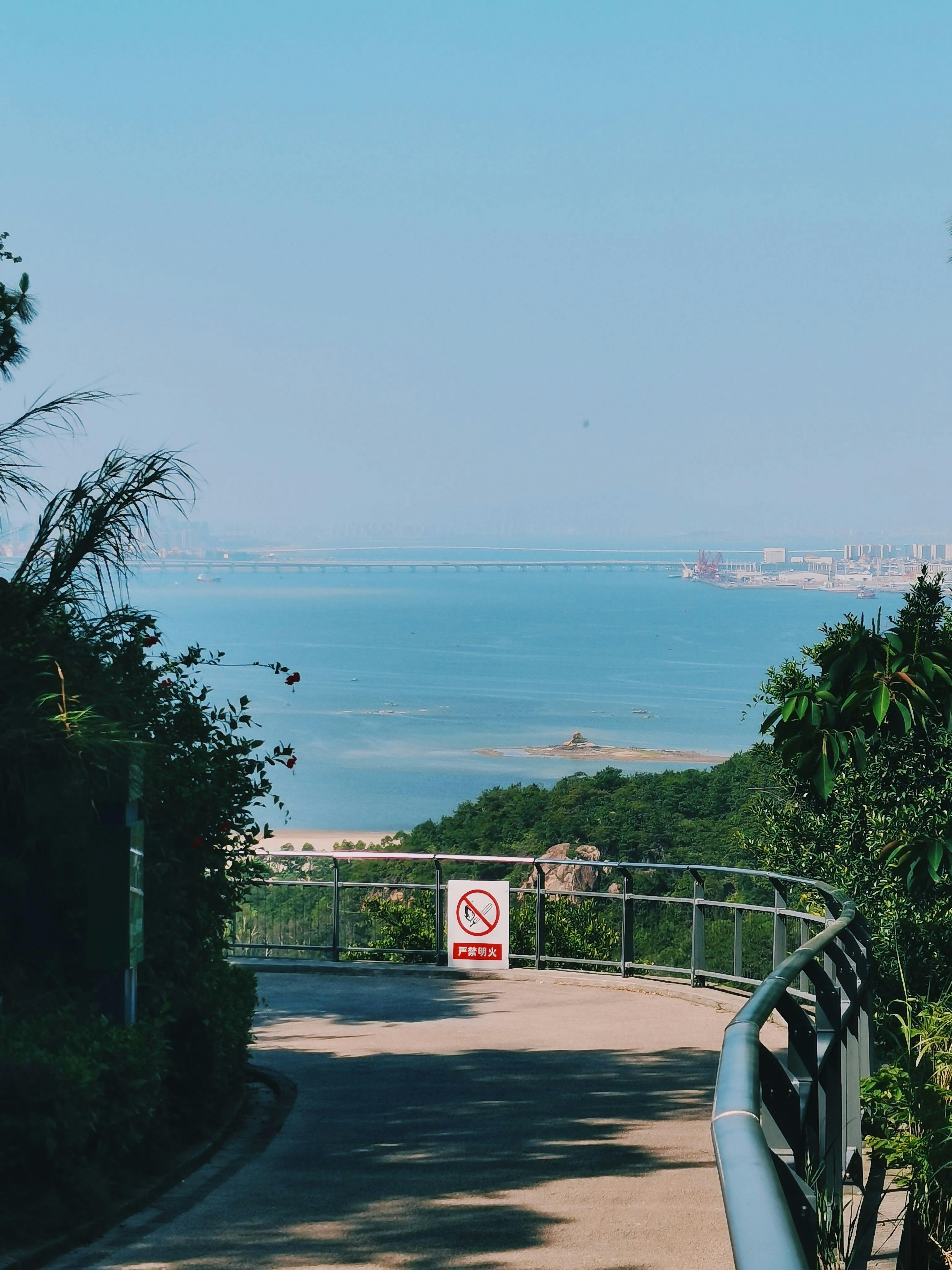 An Empty Road Surrounded with Greenery and with View of the Sea in the ...