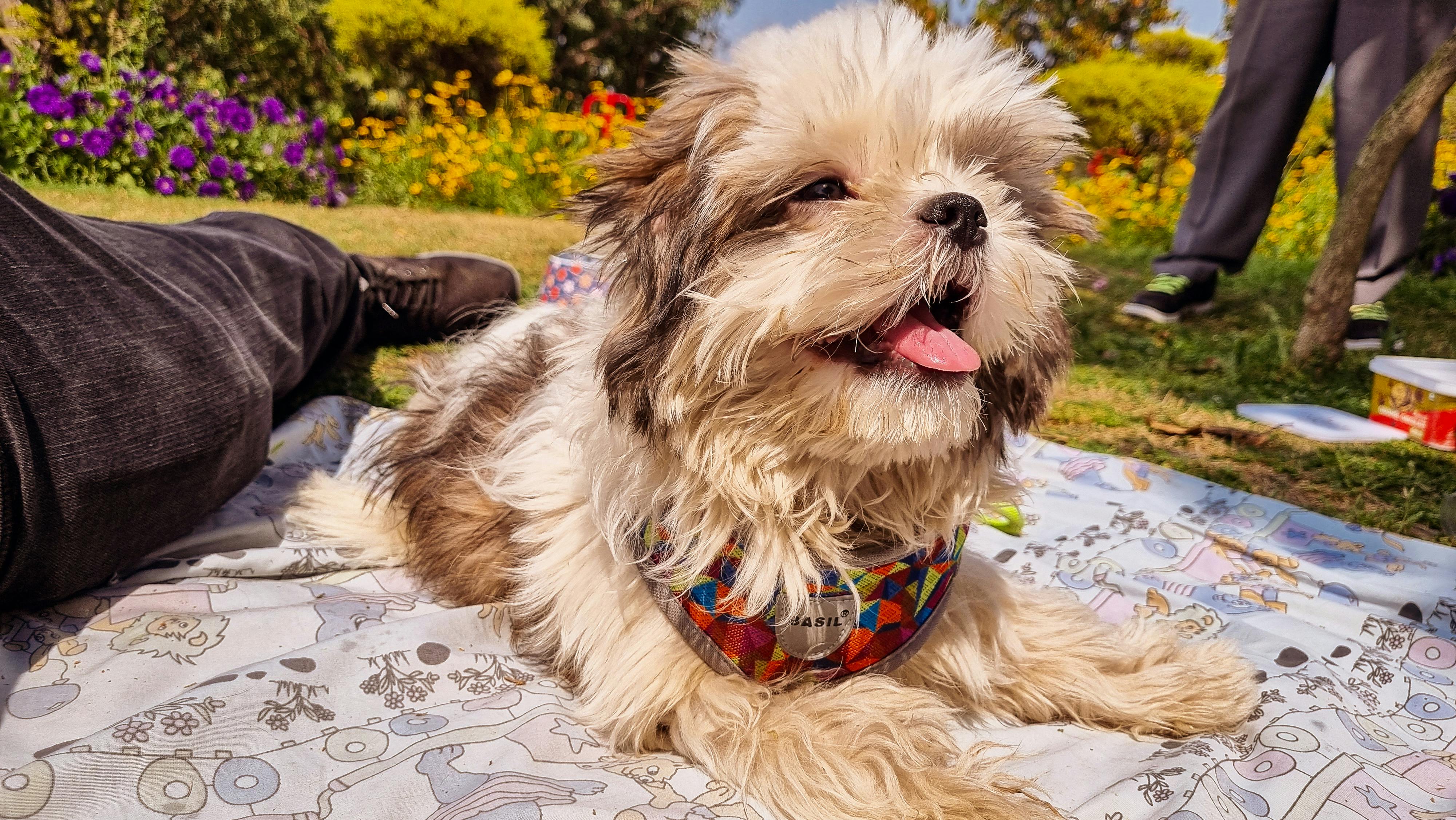 Utkarsh Shukla - Photography