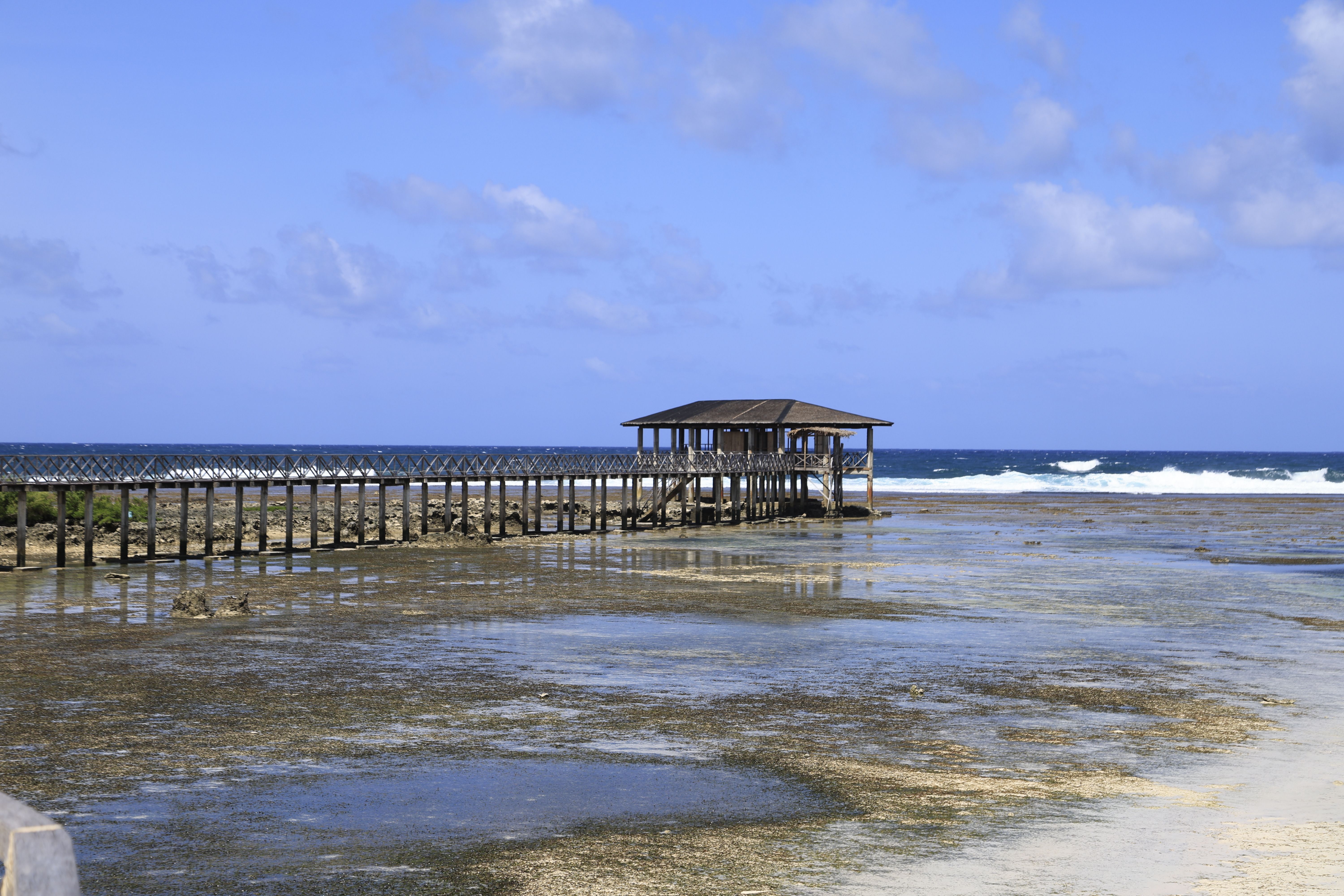 Wooden Pier with Thatched End · Free Stock Photo