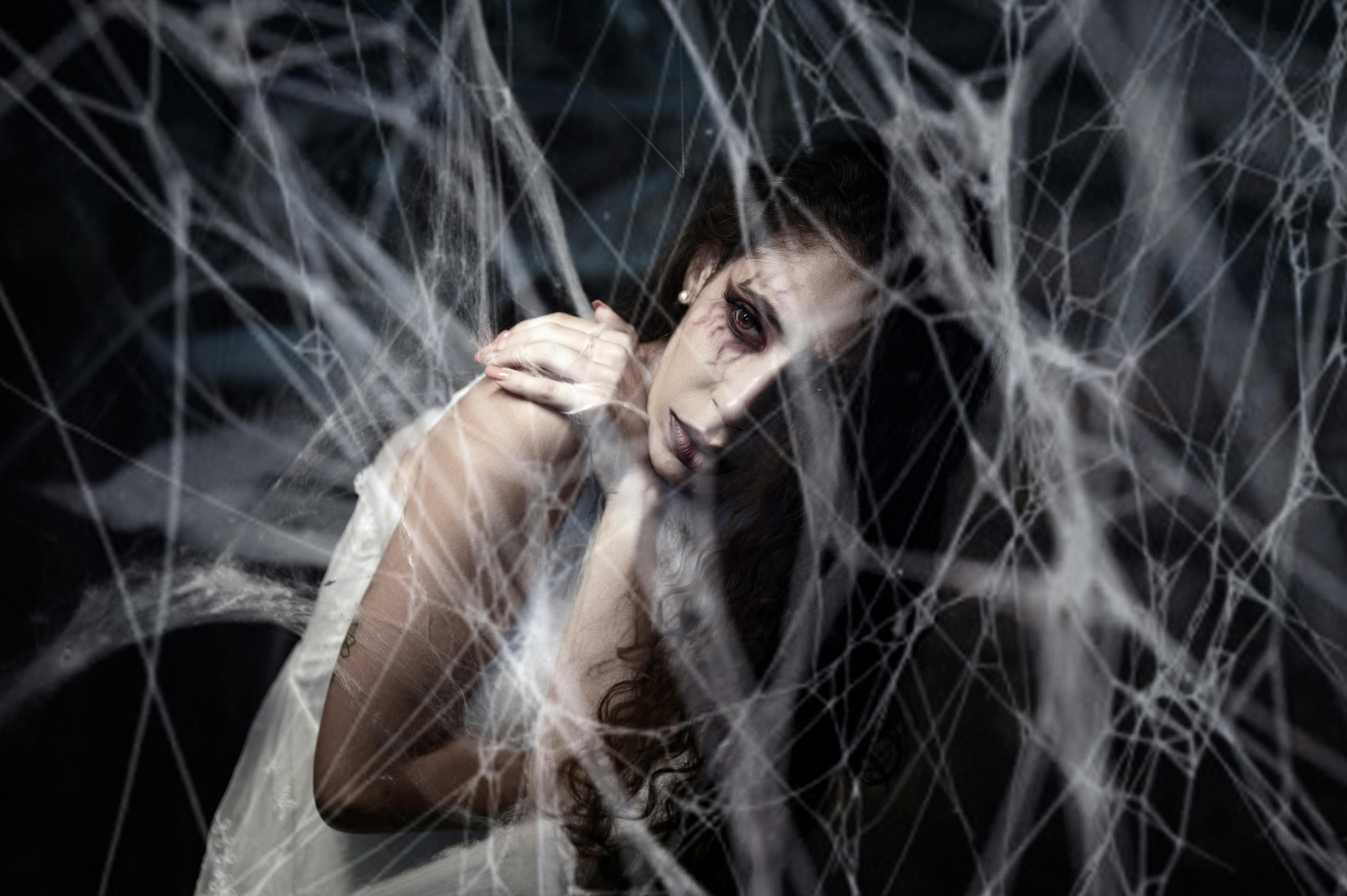 Beautiful Web Photos, Download The BEST Free Beautiful Web Stock Photos ...