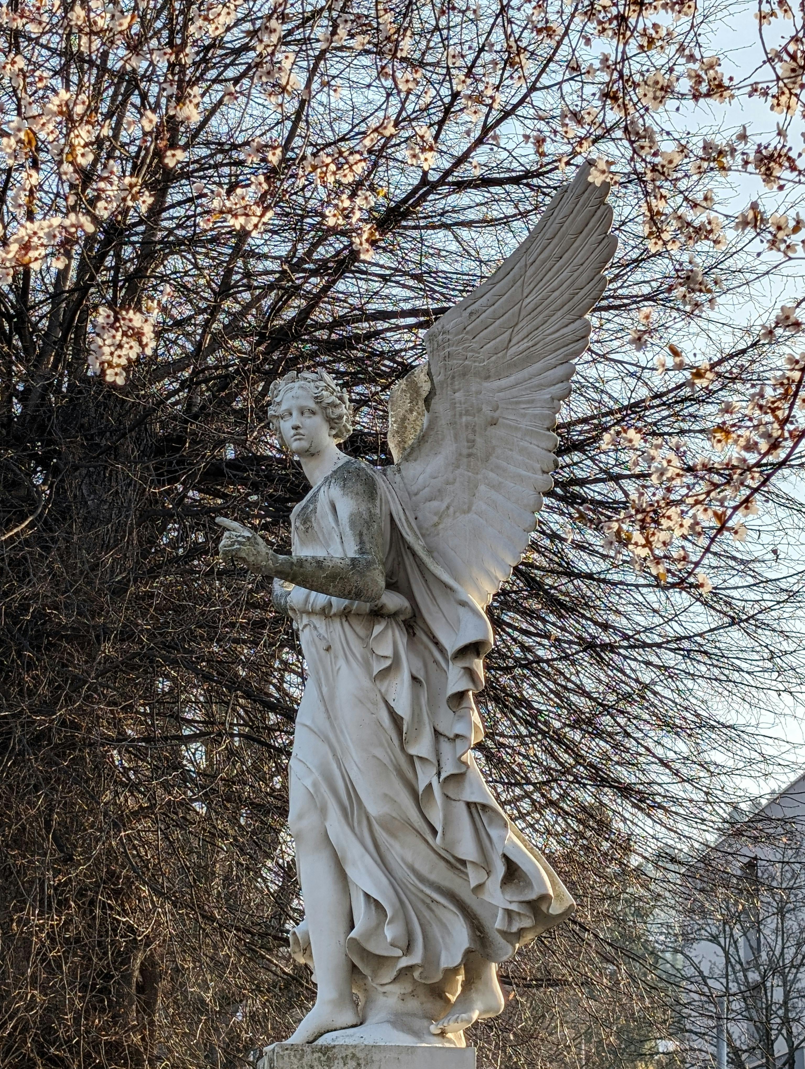 German Angel Photos, Download The BEST Free German Angel Stock Photos ...