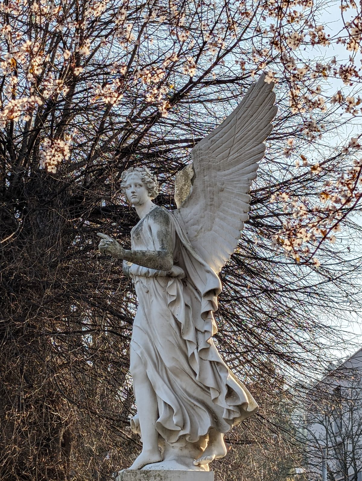 Falling Angel Photos, Download The BEST Free Falling Angel Stock Photos ...