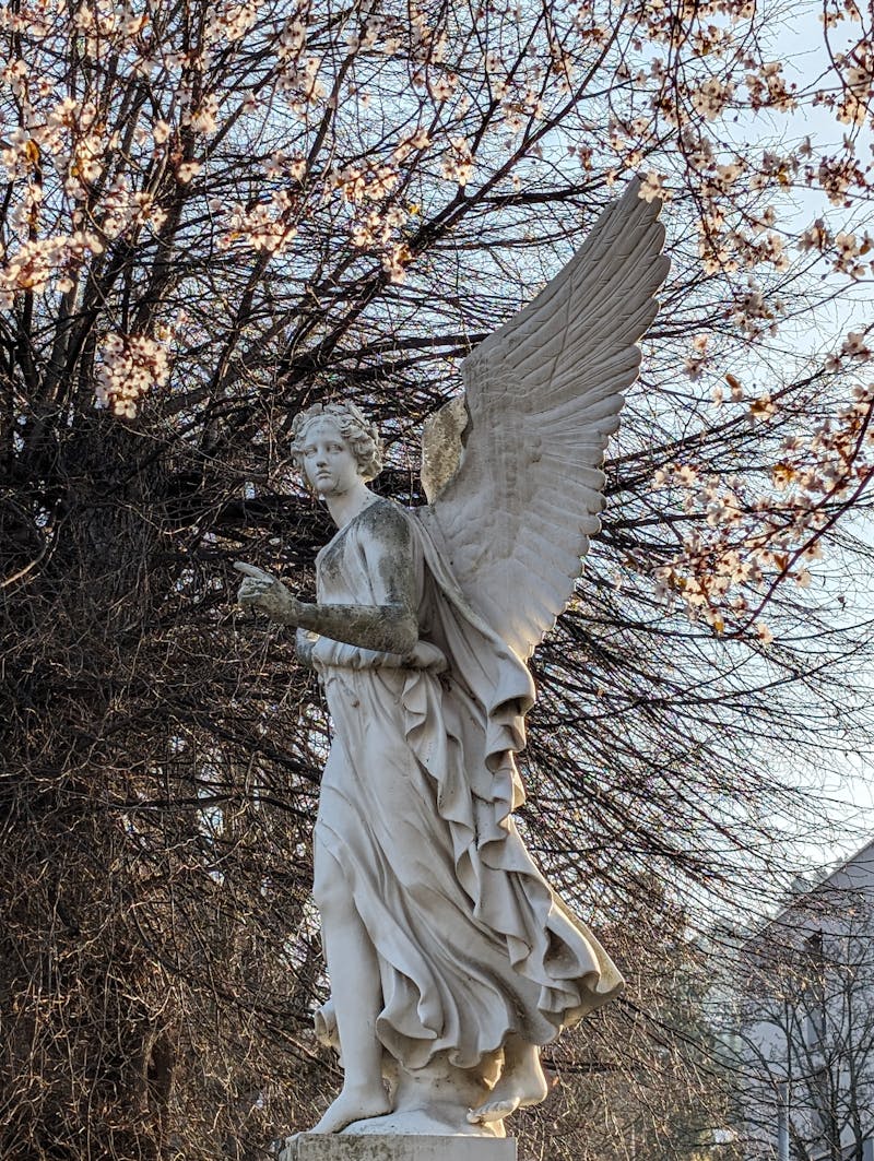 Falling Angel Photos, Download The BEST Free Falling Angel Stock Photos ...